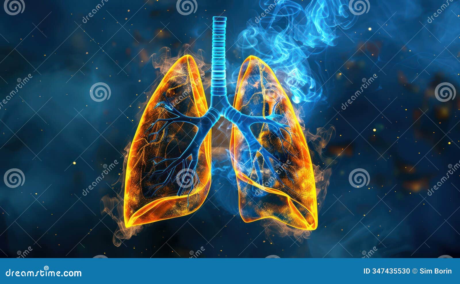 A CT Model of a Breathing Lung, the Outer Outline Stock Illustration ...