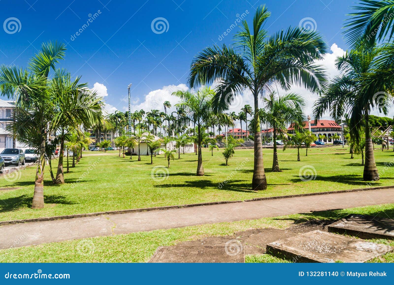 Place Des Palmistes Fotos de stock - Fotos libres de regalías de Dreamstime