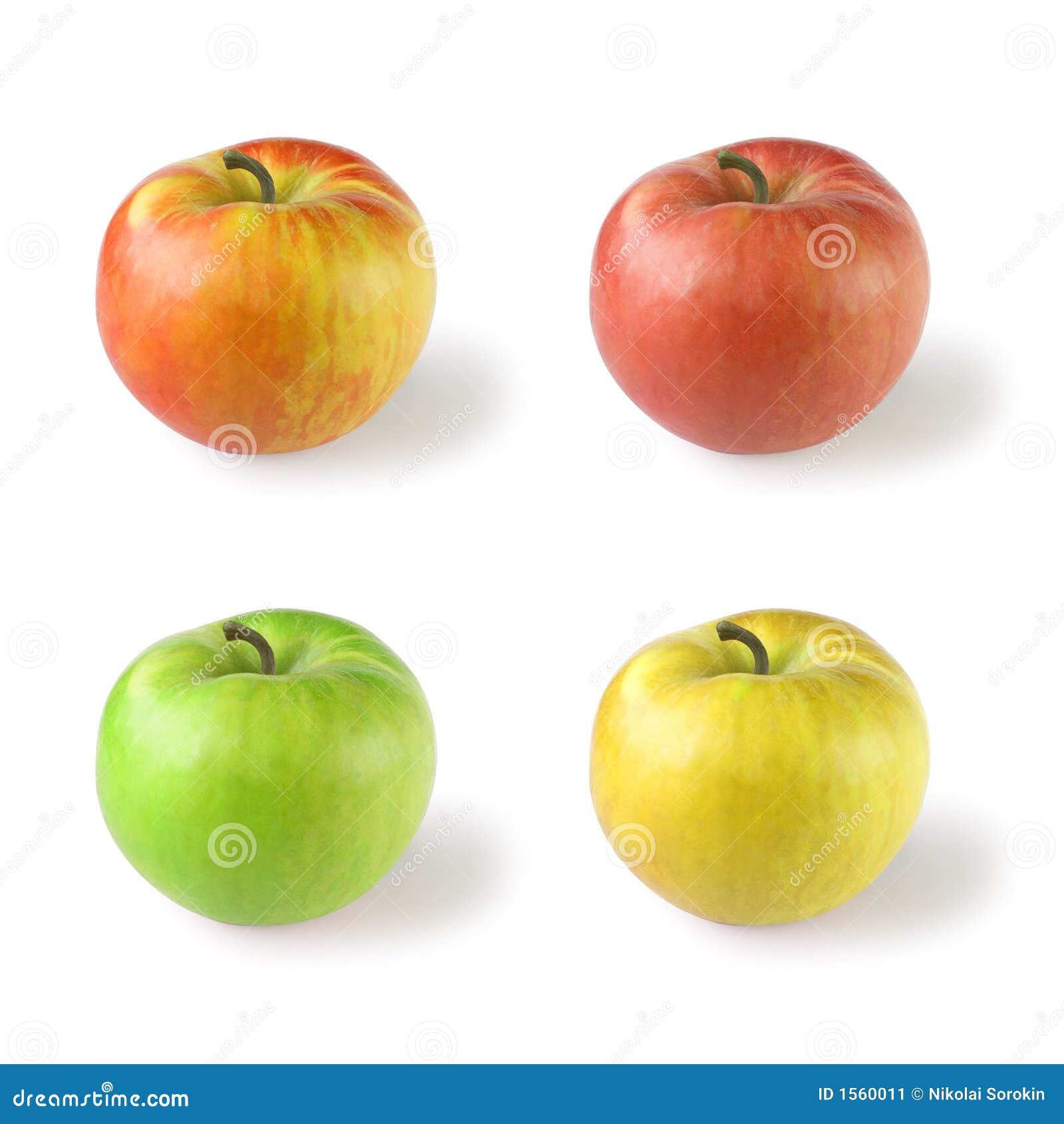Cuatro manzanas imagen de archivo. Imagen de frugalidad - 1560011