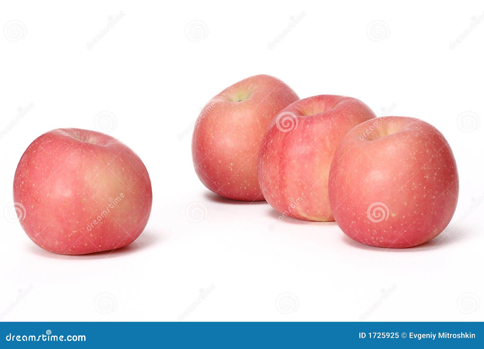 Cuatro manzanas rosadas imagen de archivo. Imagen de jugo - 1725925