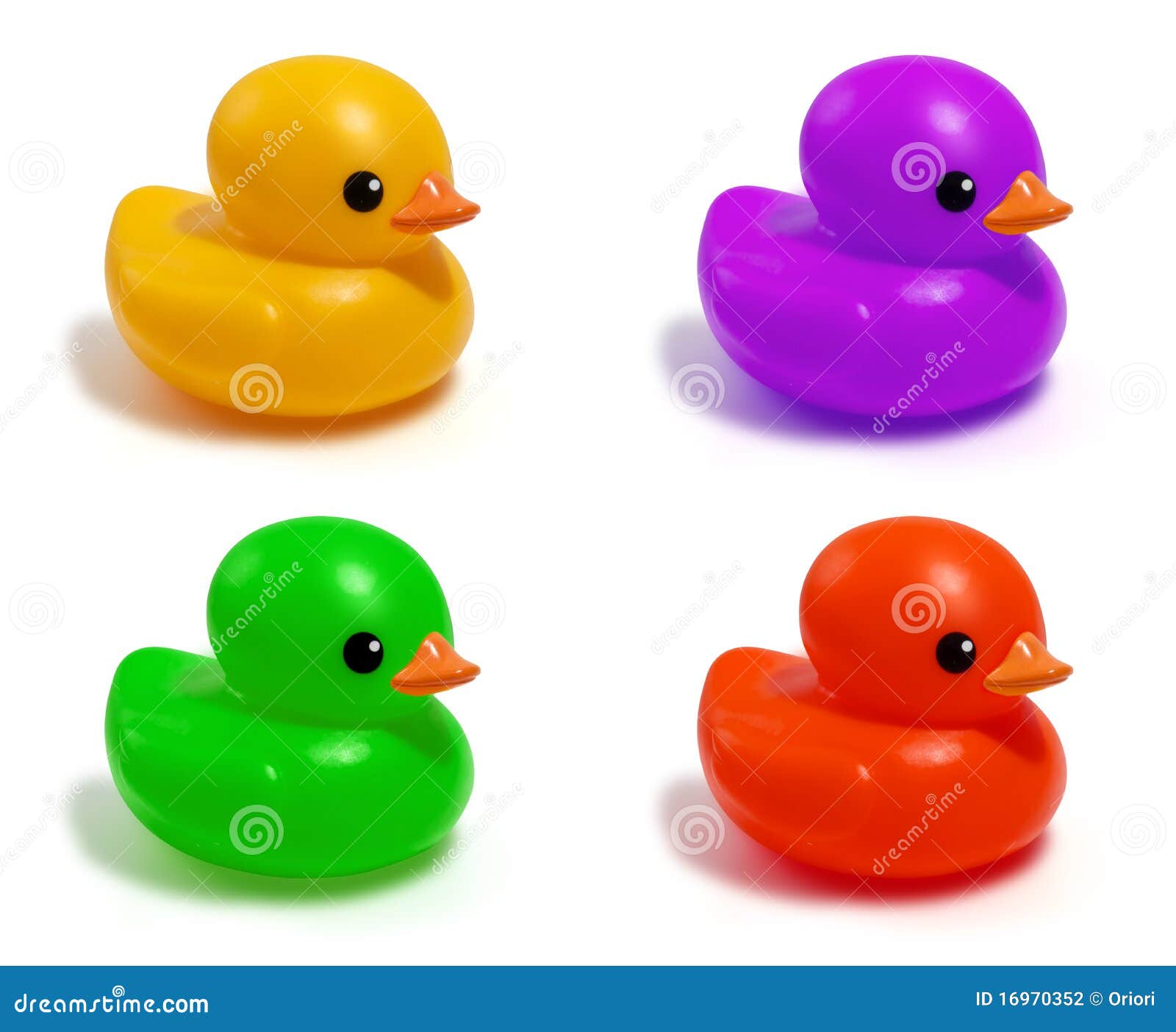 Cuatro patos foto de archivo. Imagen de animal, aislado - 16970352