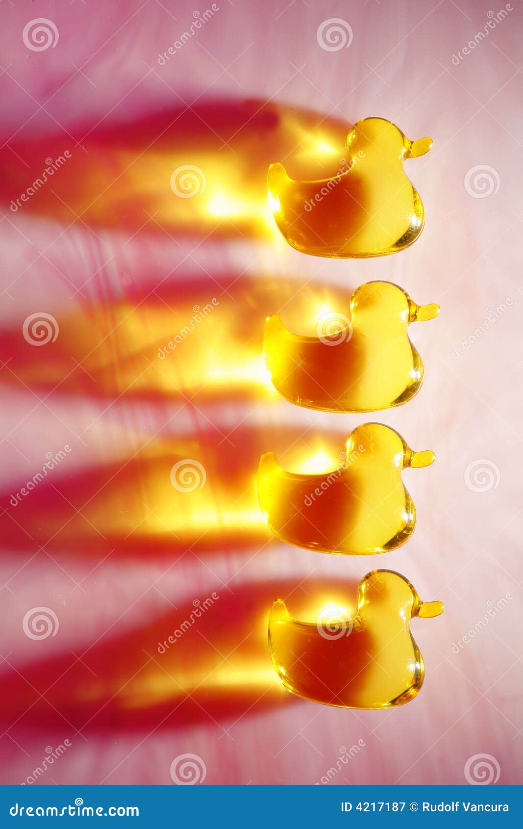 Cuatro patos imagen de archivo. Imagen de refractado, cuatro - 4217187