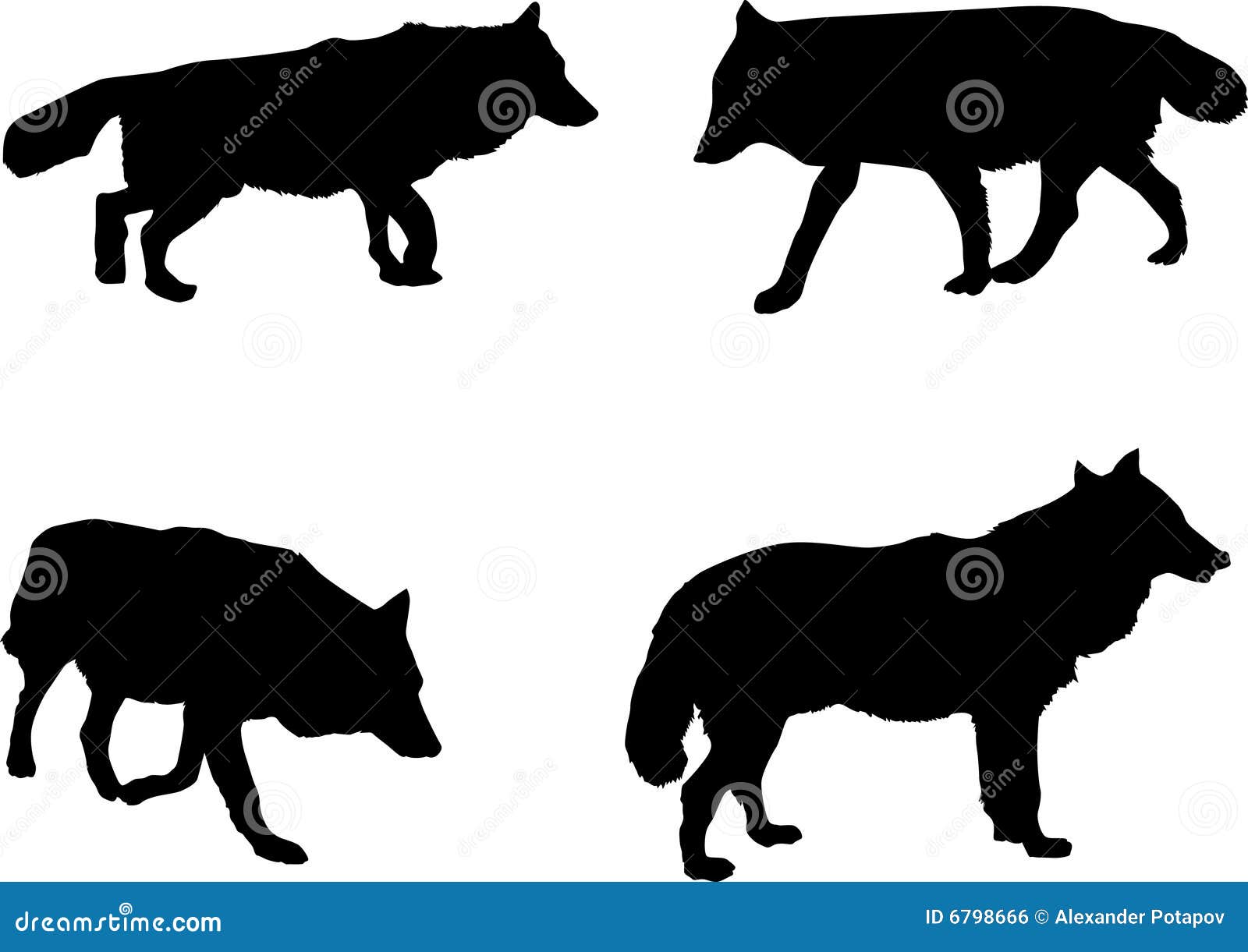 Cuatro siluetas del lobo stock de ilustración. Ilustración de pintura ...