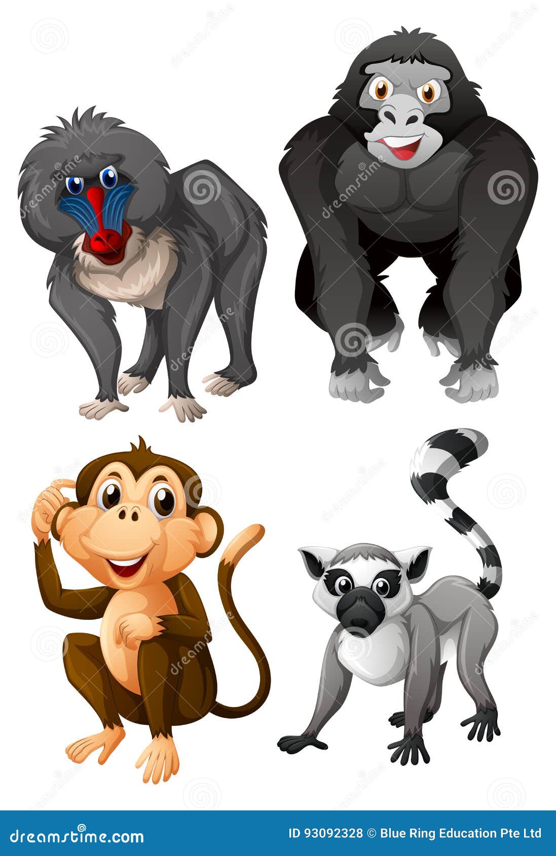 Cuatro Tipos De Monos En El Fondo Blanco Ilustración del Vector ...