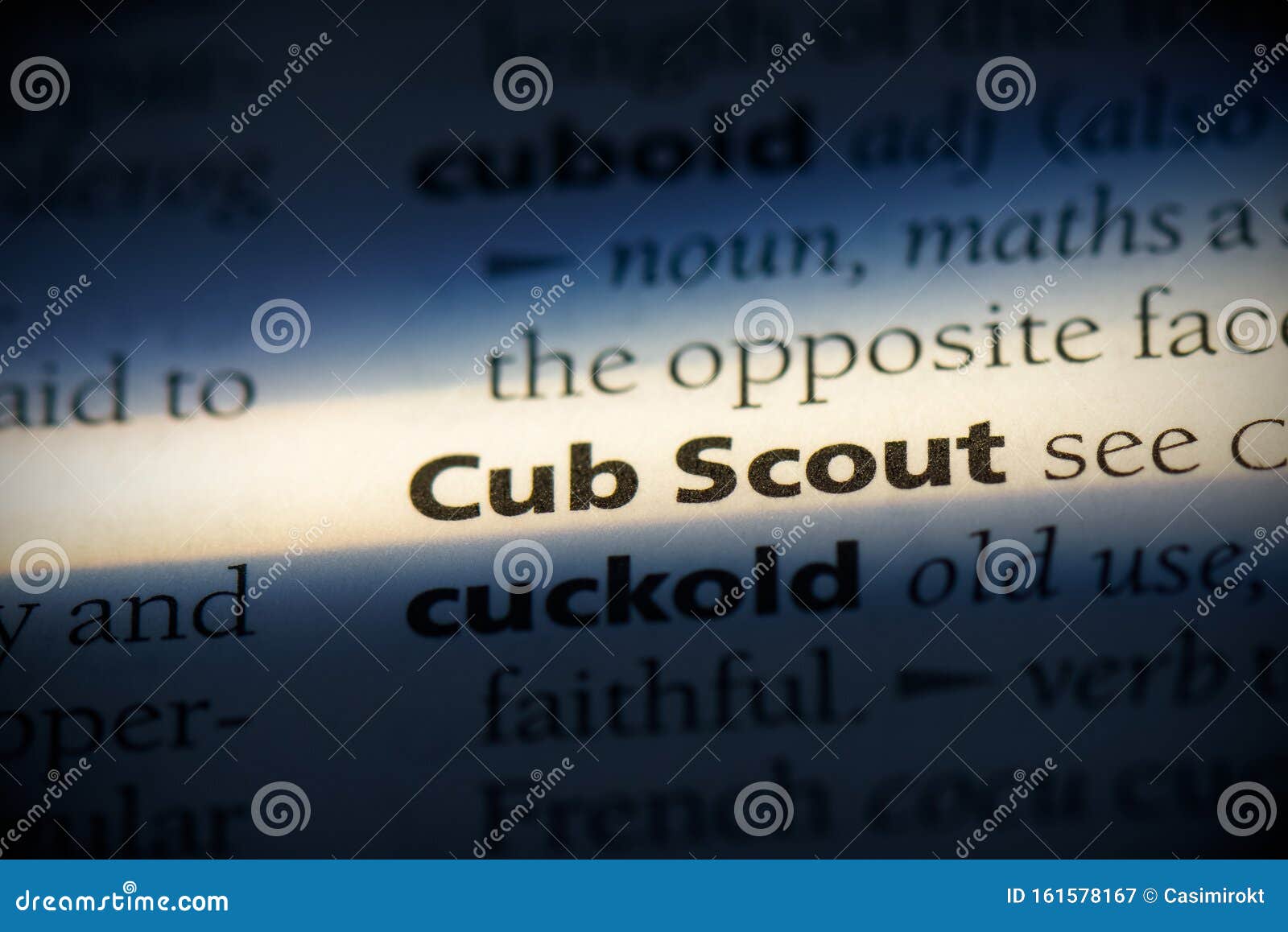 Cub scout stock image. Image of vocabulary, macro, definition - 161578167