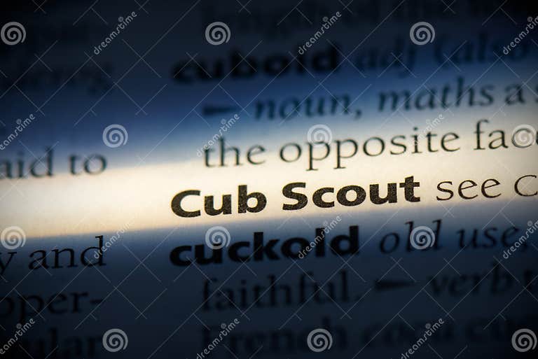 Cub scout stock image. Image of vocabulary, macro, definition - 161578167