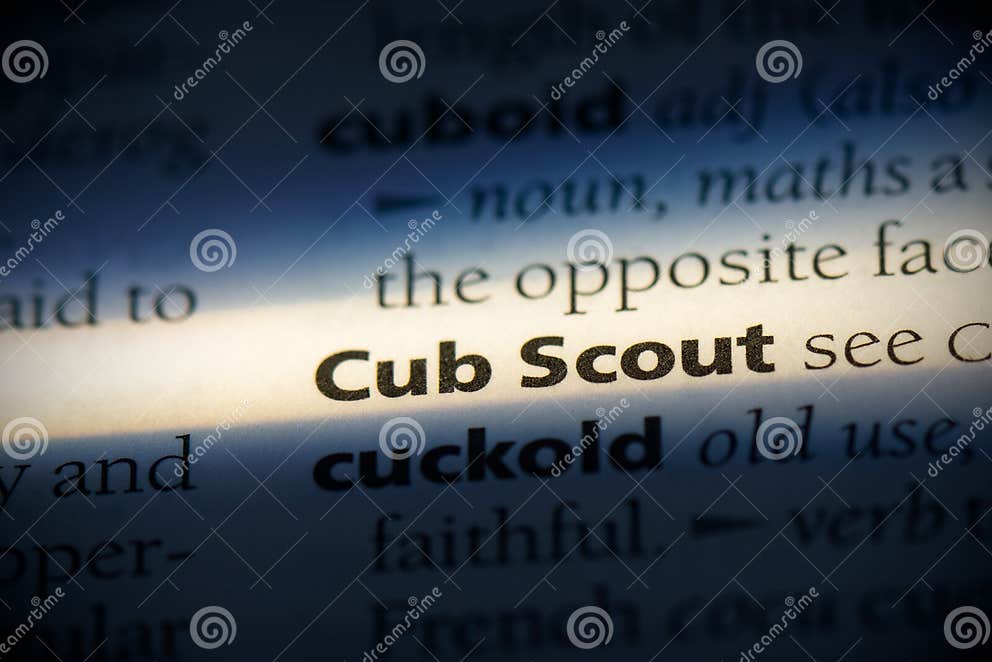 Cub scout stock image. Image of vocabulary, macro, definition - 161578167