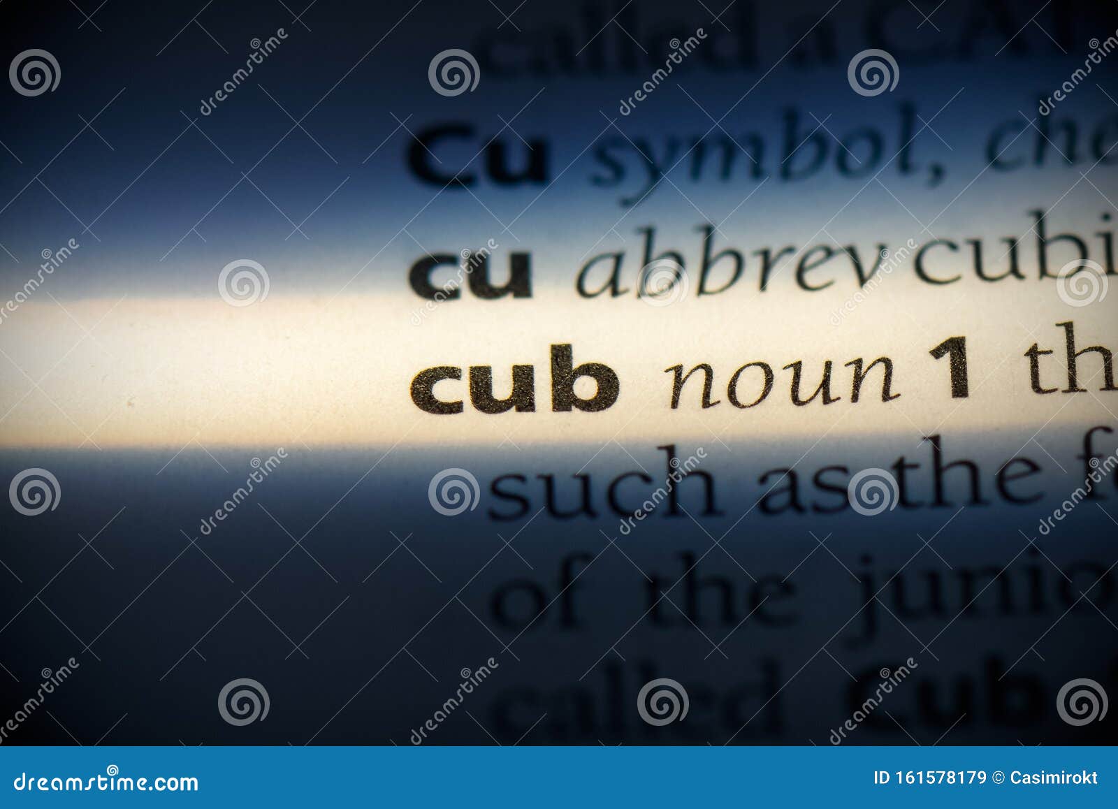 Cub stock image. Image of idea, closeup, linguistic - 161578179