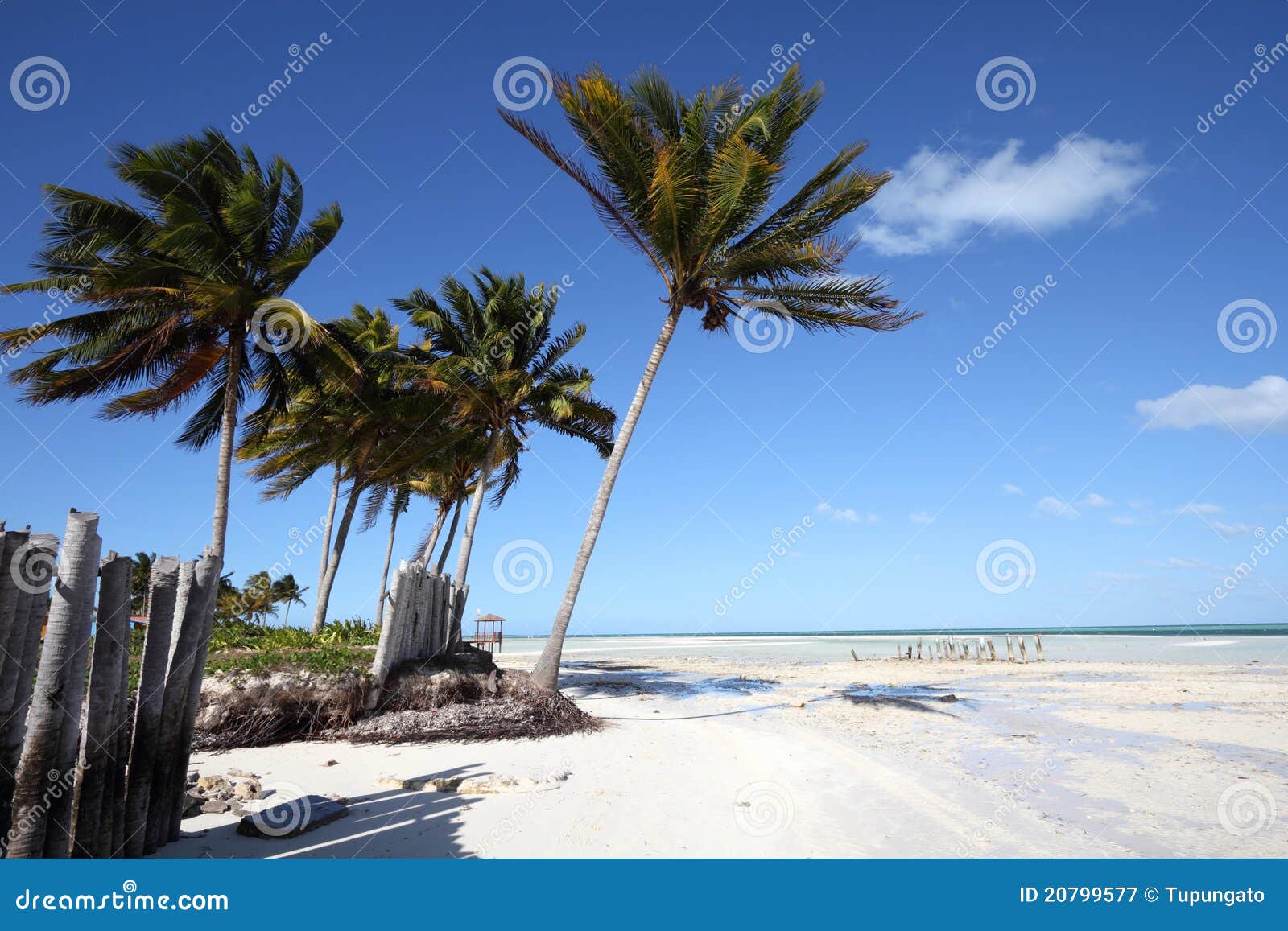 Cuba stock image. Image of cayos, cuba, blue, caribbean - 20799577