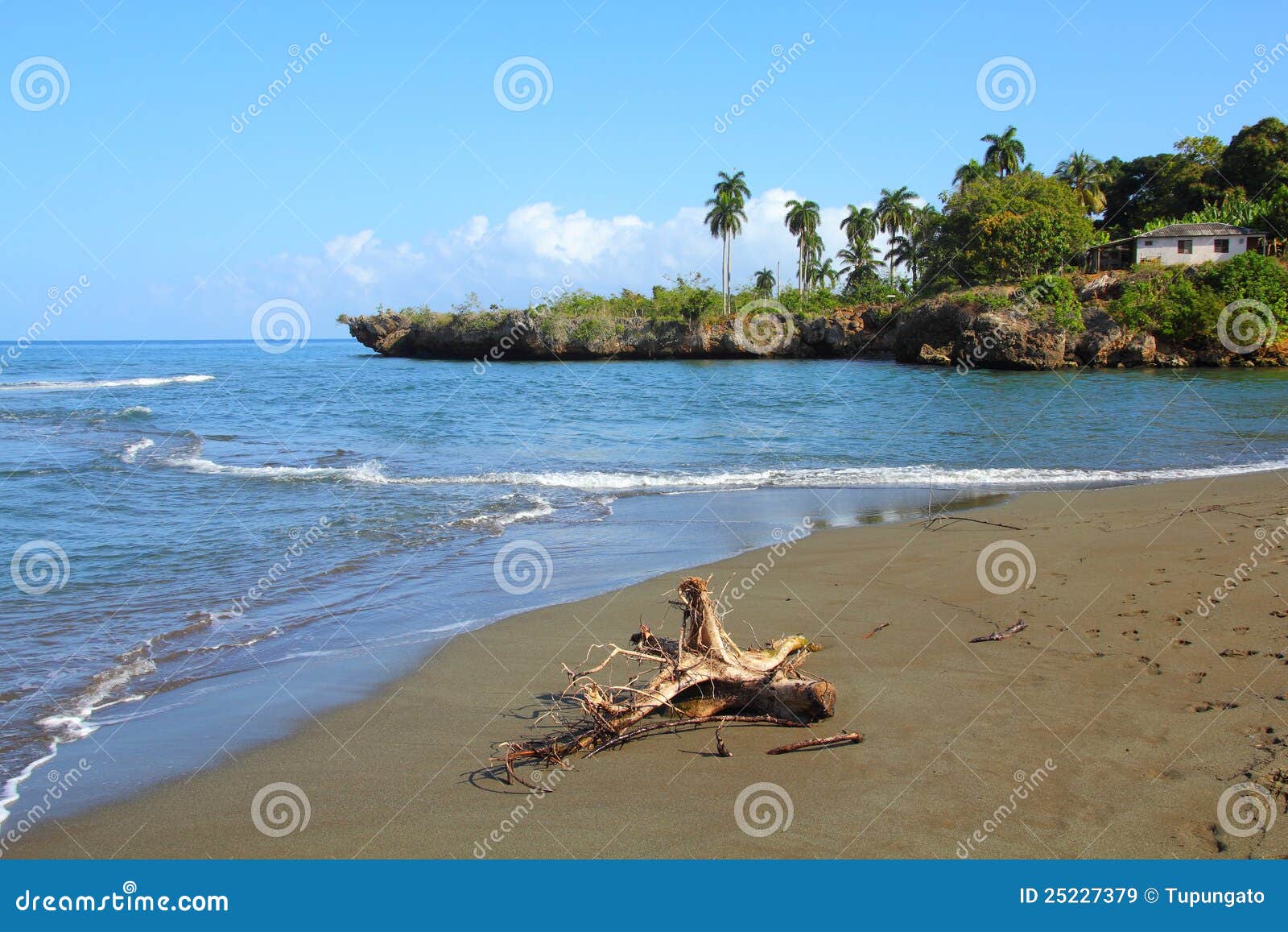 Cuba - Baracoa stock image. Image of tropical, driftwood - 25227379
