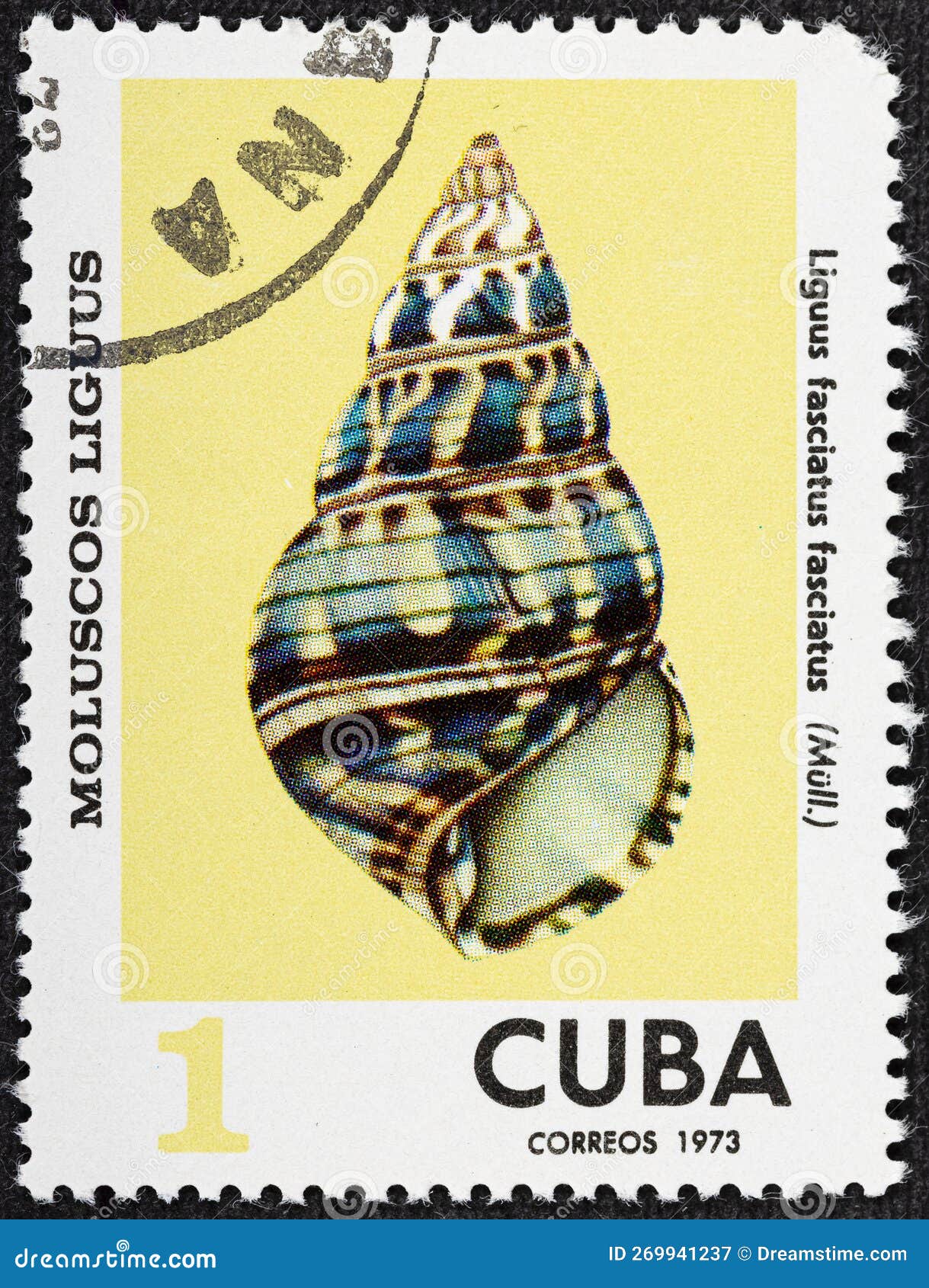 CUBA - CIRCA 1973: a Stamp Printed in Cuba Shows a Sea Shell, One Stamp ...
