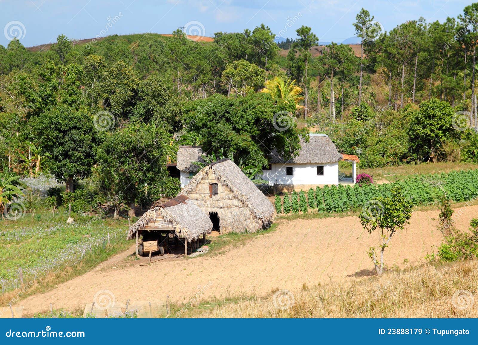 Cuba countryside stock image. Image of sightseeing, countryside - 23888179