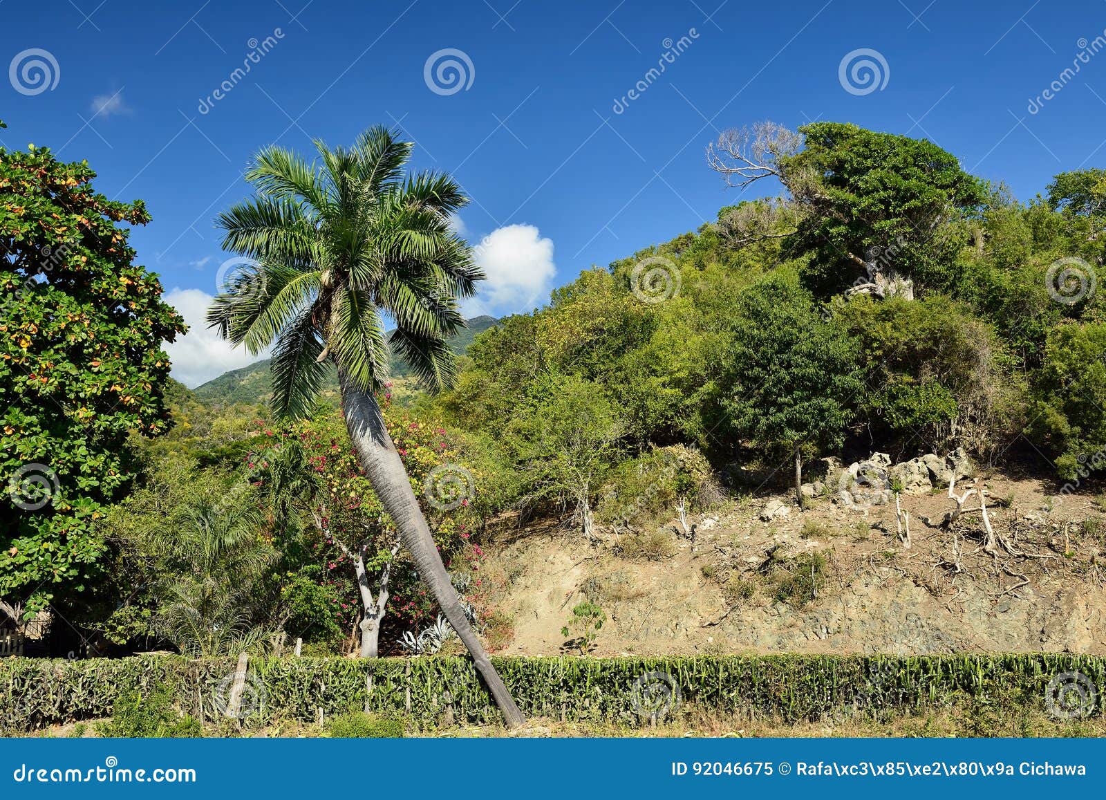 Cuba landscape stock image. Image of country, pico, stone - 92046675