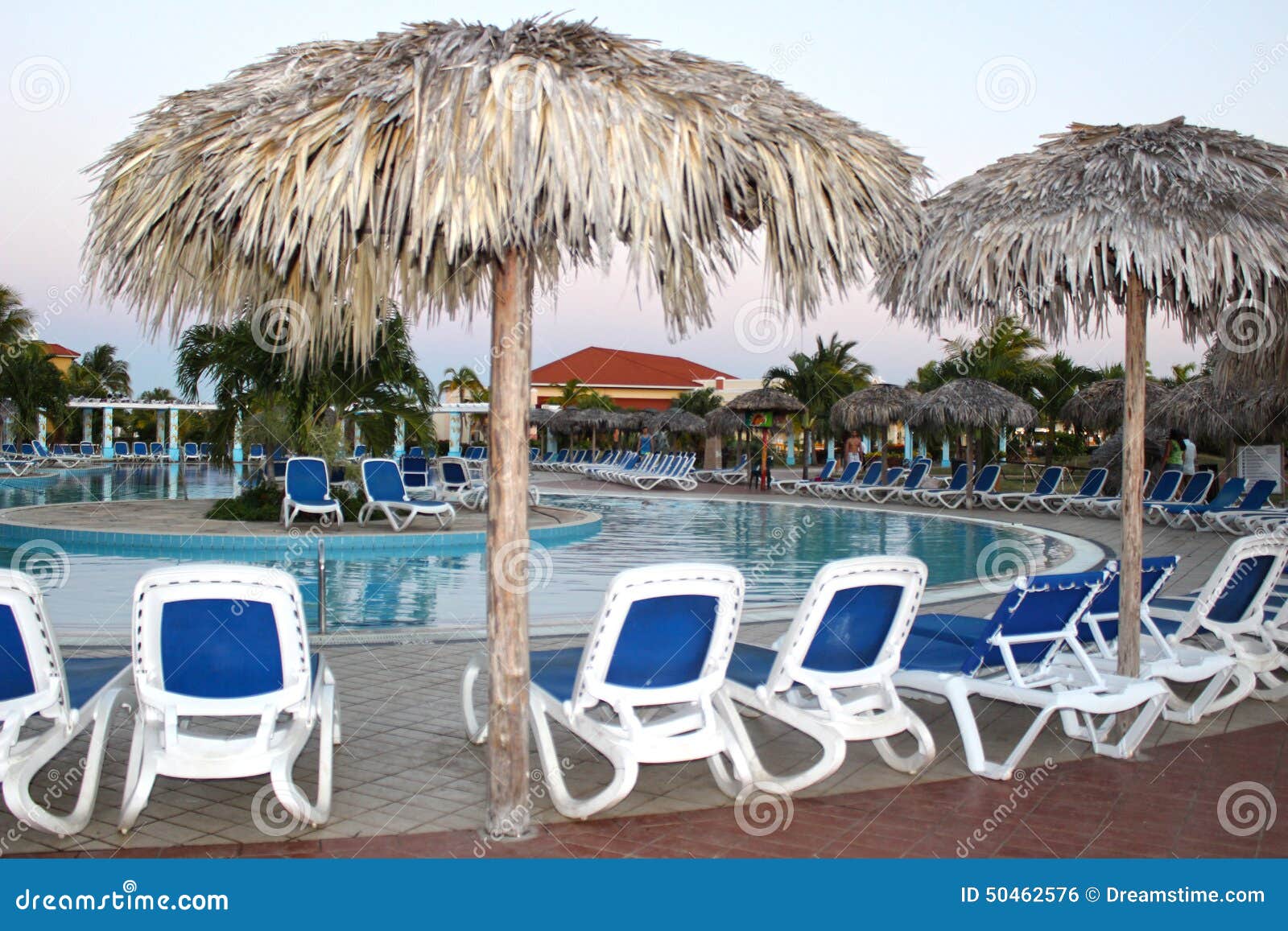 Cuba Resort editorial photo. Image of hang, cute, palm - 50462576