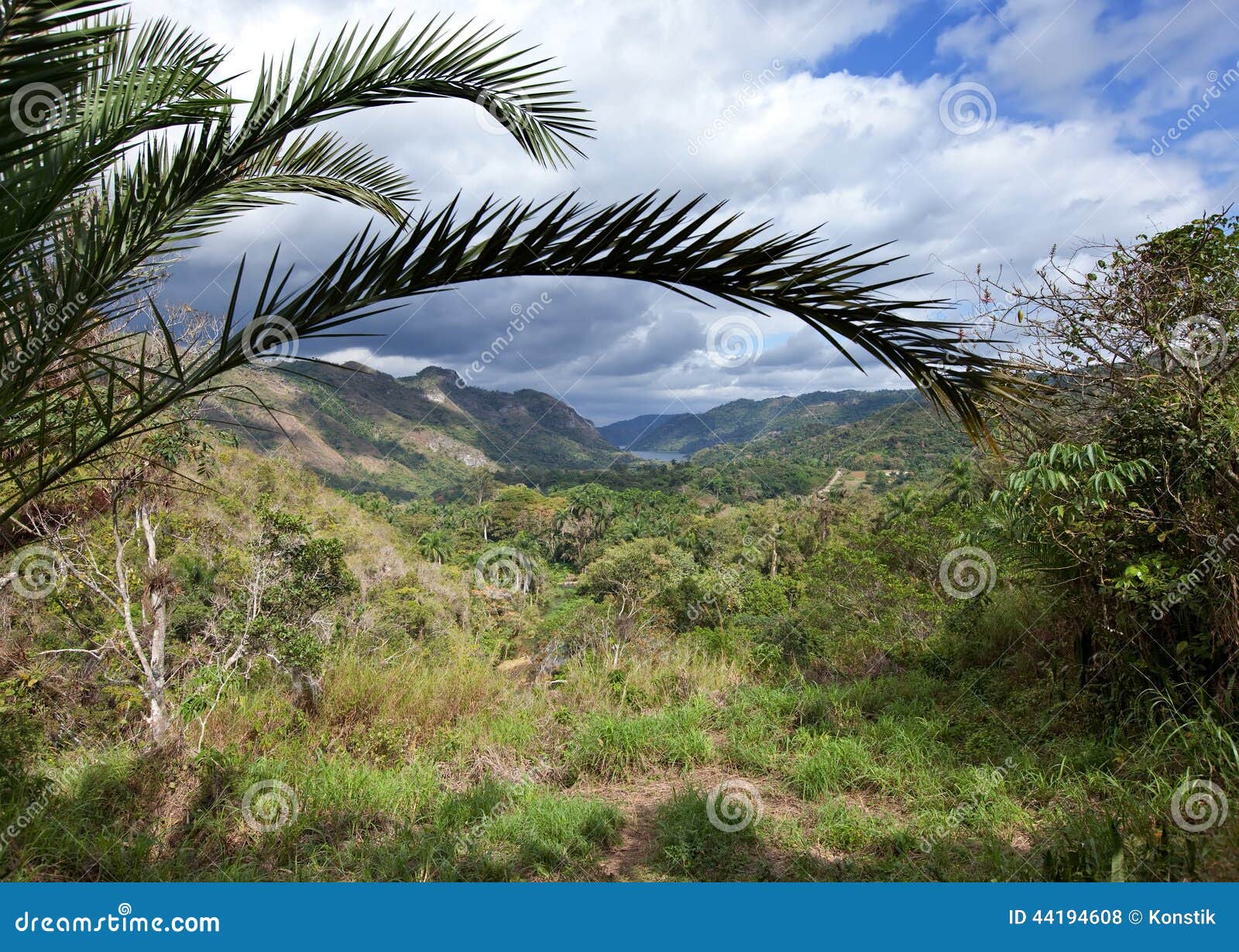 Cuba. Tropical nature stock photo. Image of beautiful - 44194608