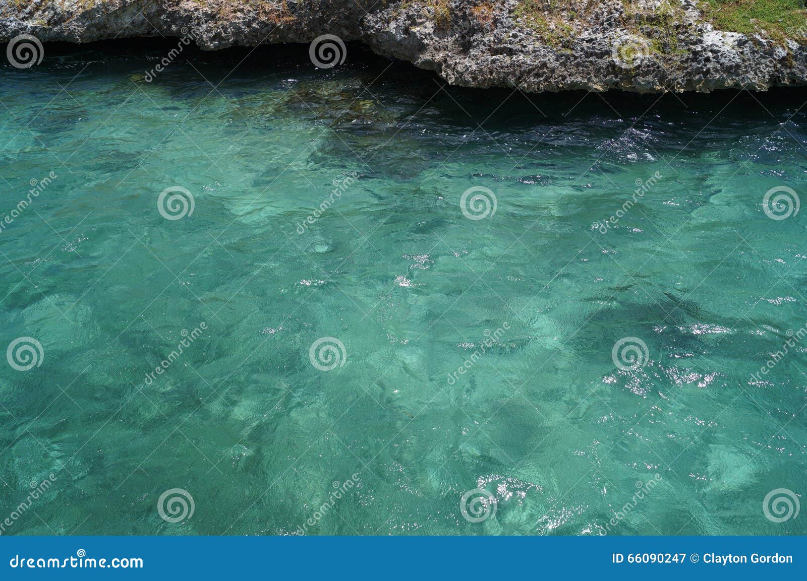 Cuba water stock image. Image of coral, water, reef, beautiful - 66090247
