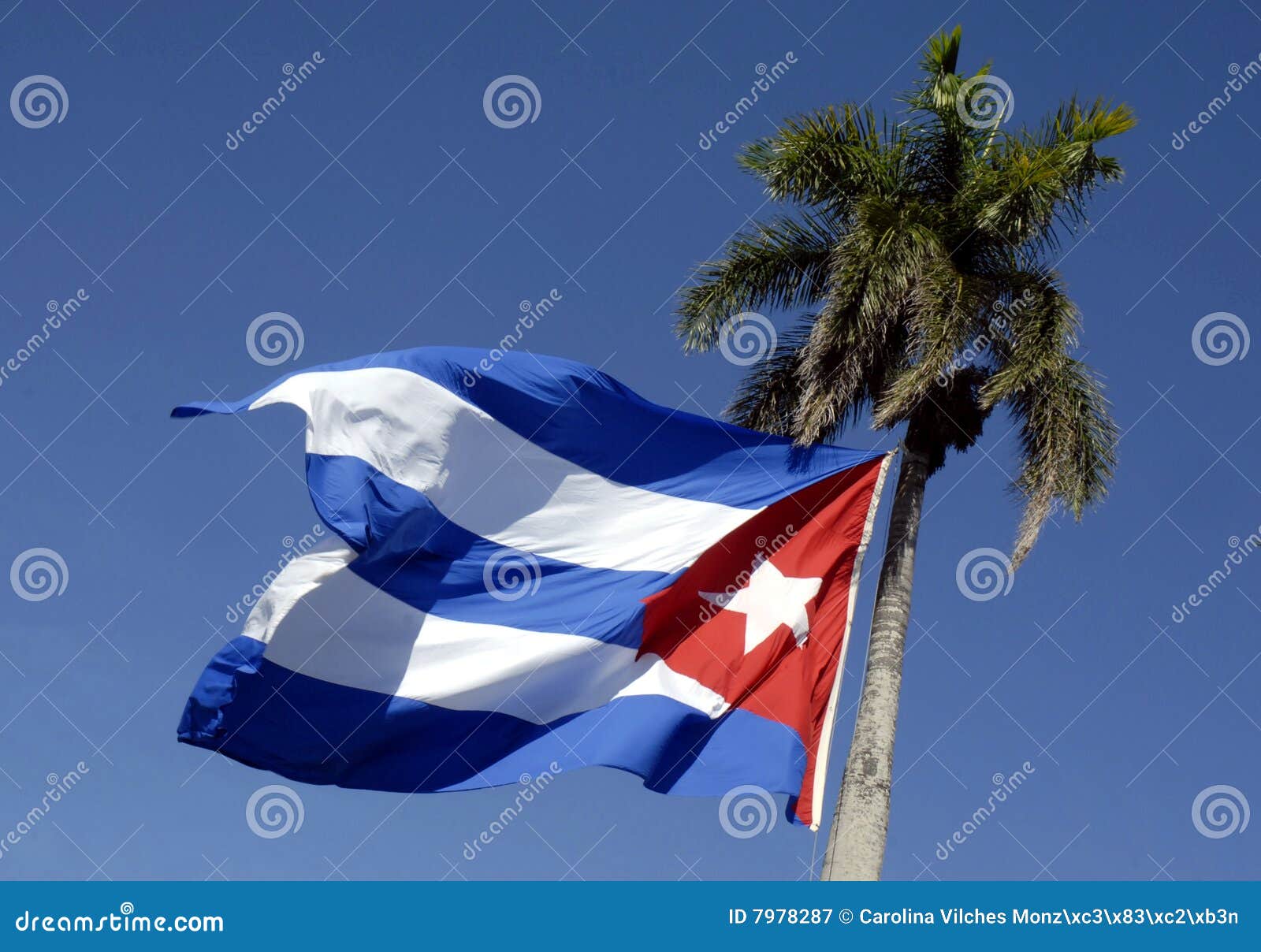 Cubaanse vlag stock afbeelding. Image of palm, wind, tegen - 7978287