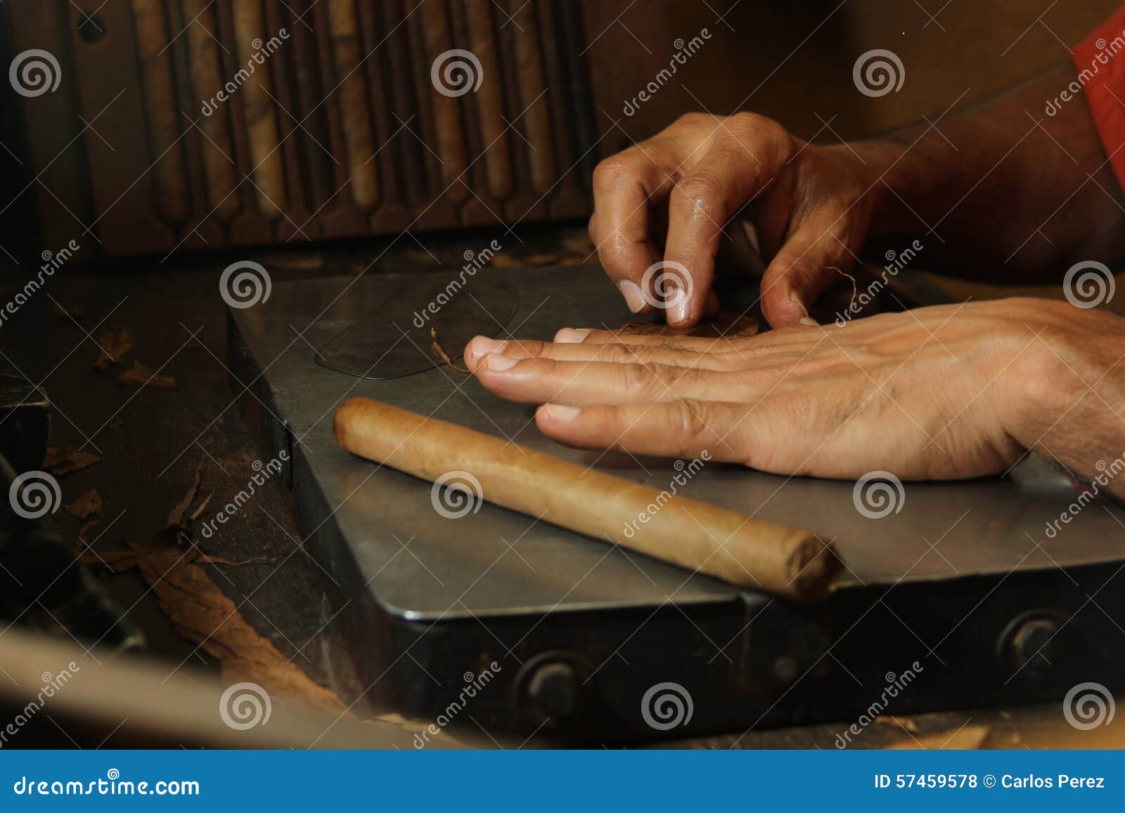 Cuban Cigars Crafter S Hands Rolling Cigars Stock Photo - Image of ...