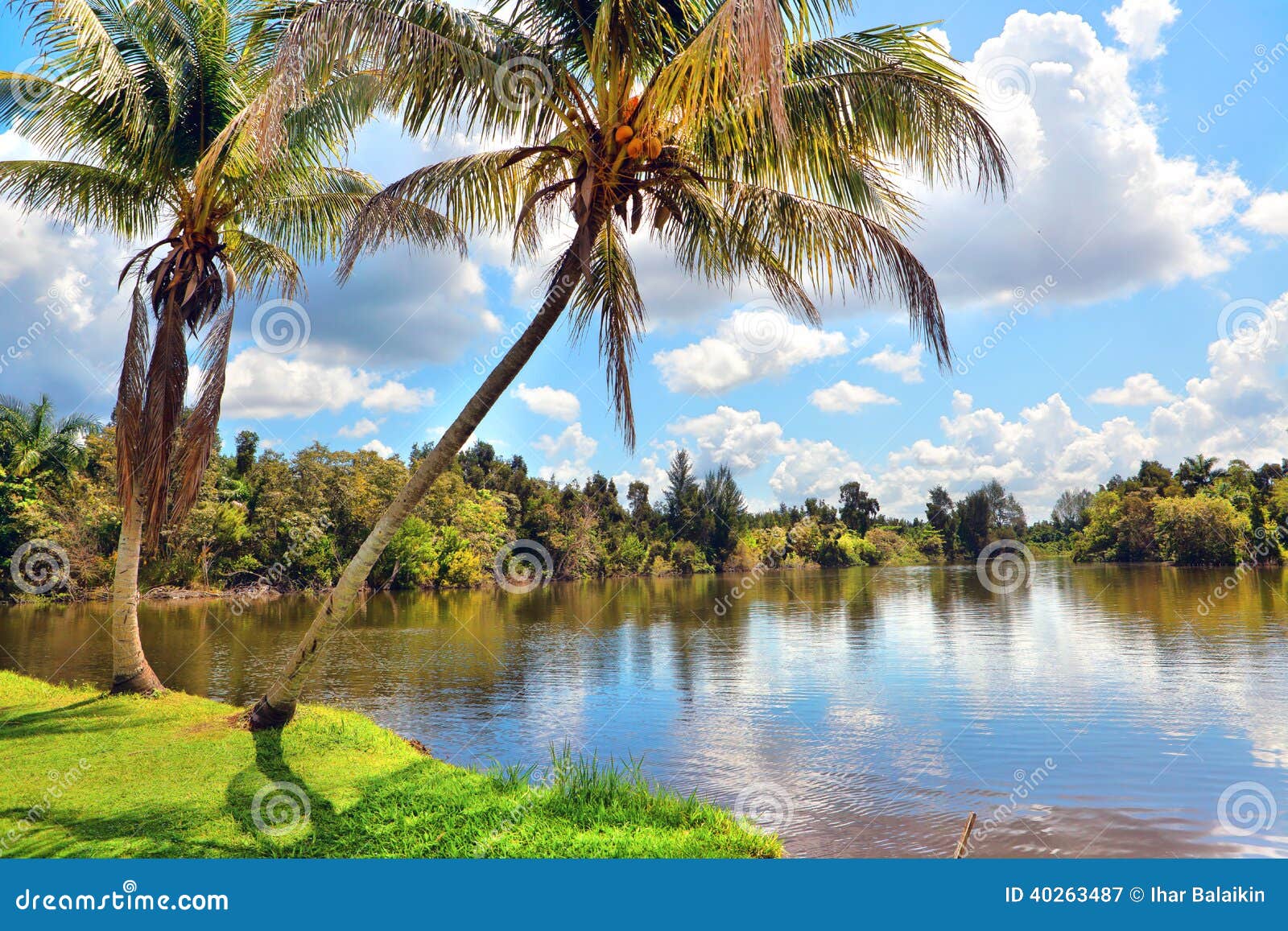 Cuban country landscape stock image. Image of flora, agriculture - 40263487