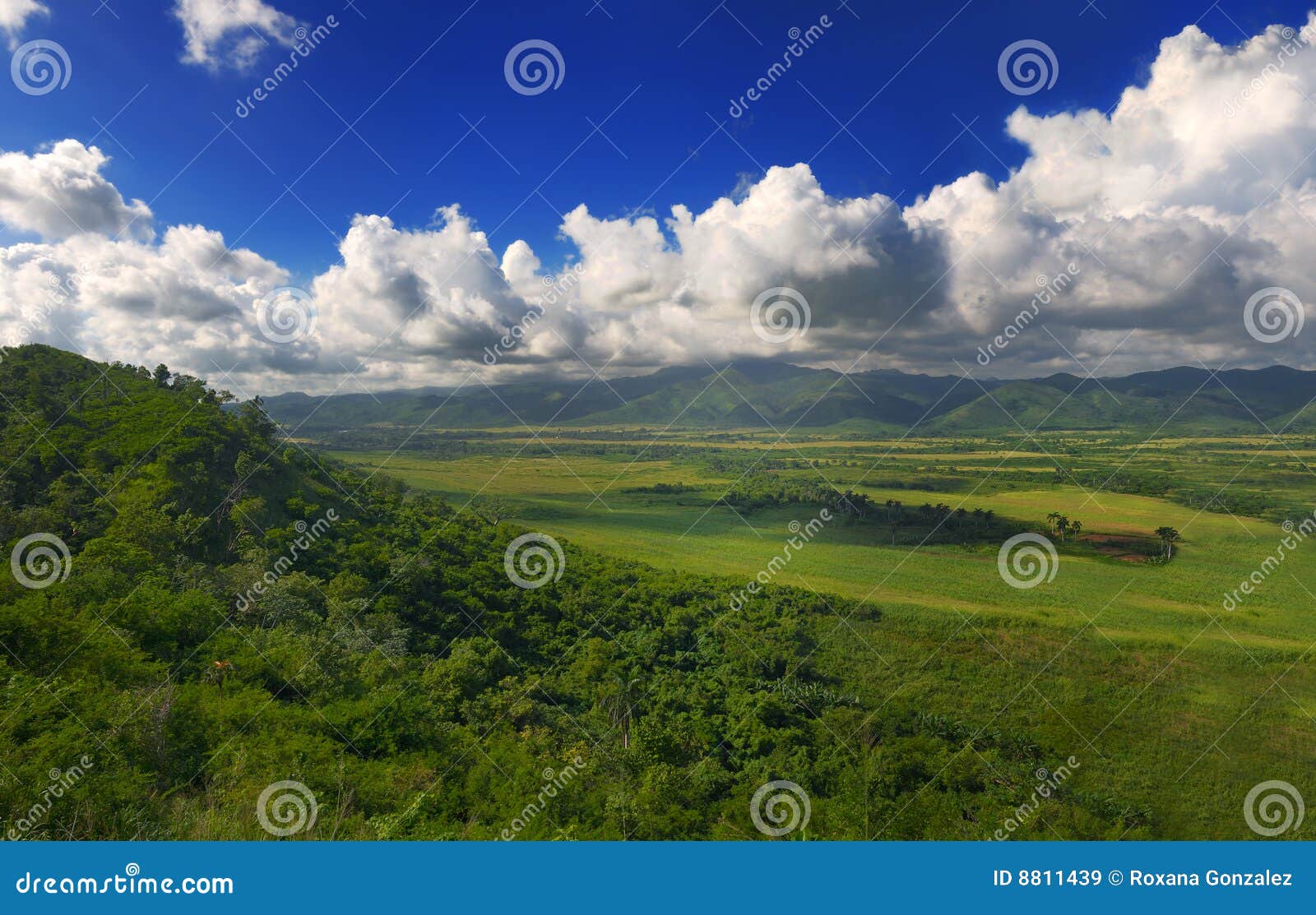 Cuban landscape stock image. Image of green, exotic, colorful - 8811439