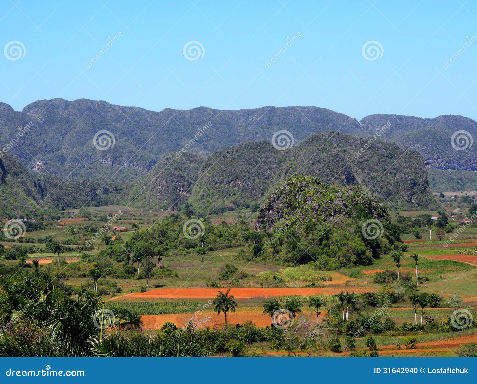 Cuban Landscape with Mogotes and Palm Trees Stock Photo - Image of ...