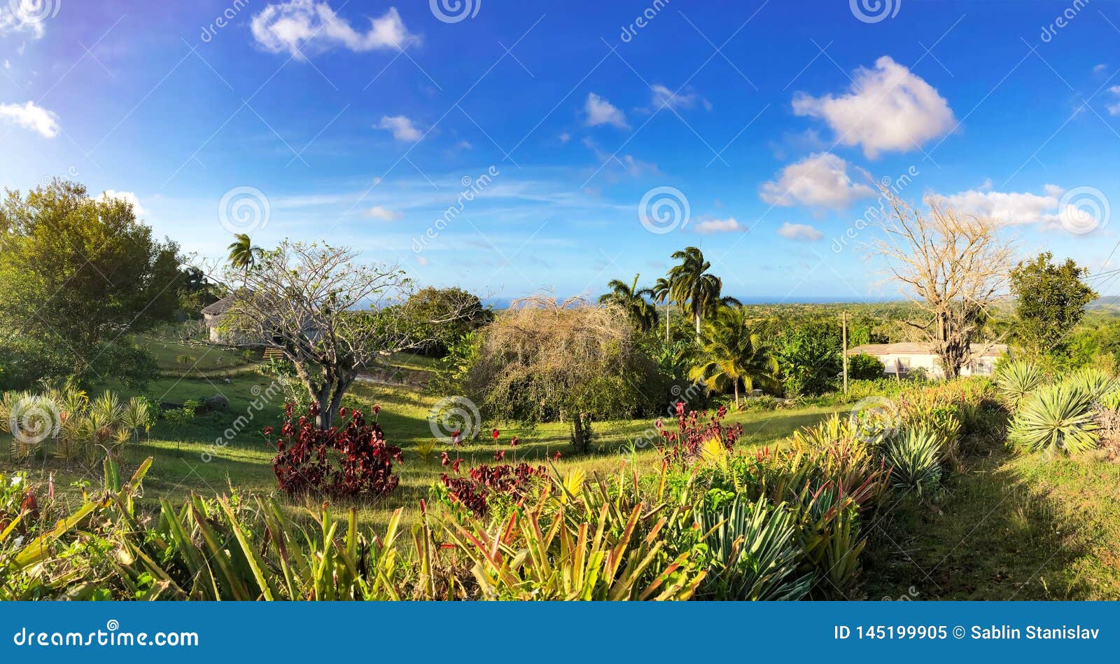 Cuban Landscape. Ranch on the Caribbean Sea.n Stock Image - Image of ...