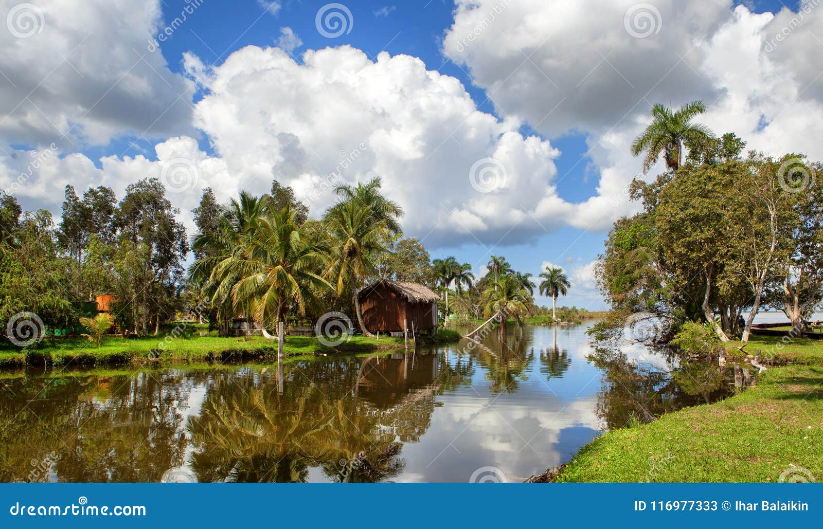 Cuban village on the river stock image. Image of agriculture - 116977333