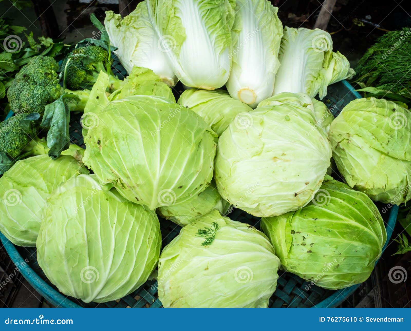 Cubbage in fresh market. stock photo. Image of cubbage - 76275610