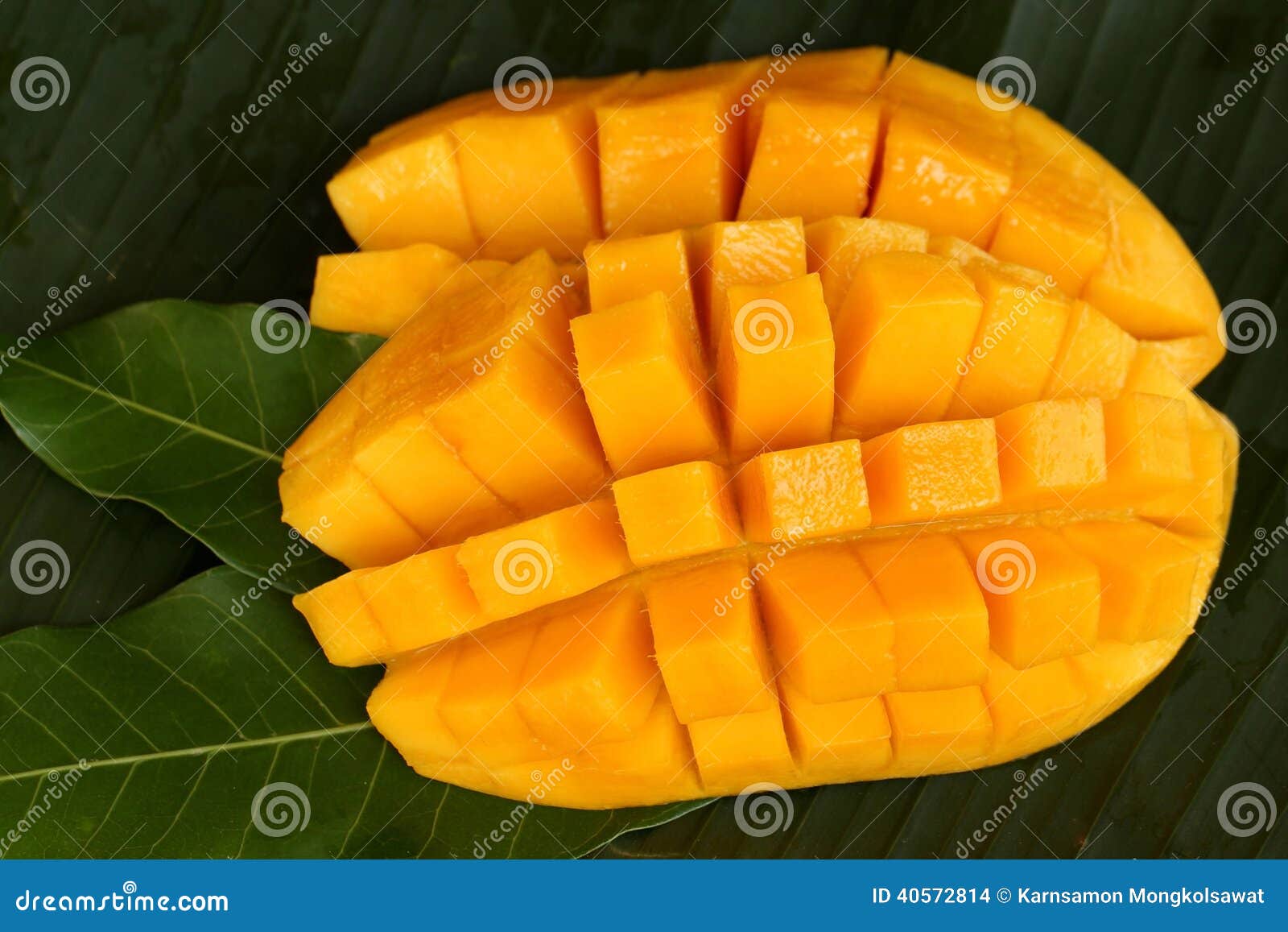 Cube cut mango stock photo. Image of leaf, fruit, agriculture - 40572814