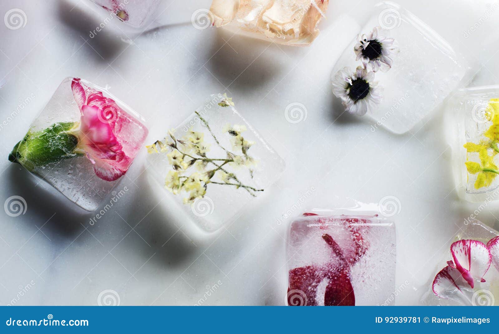 Cube Ice with Flower Inside Stock Image - Image of vintage, flowers ...