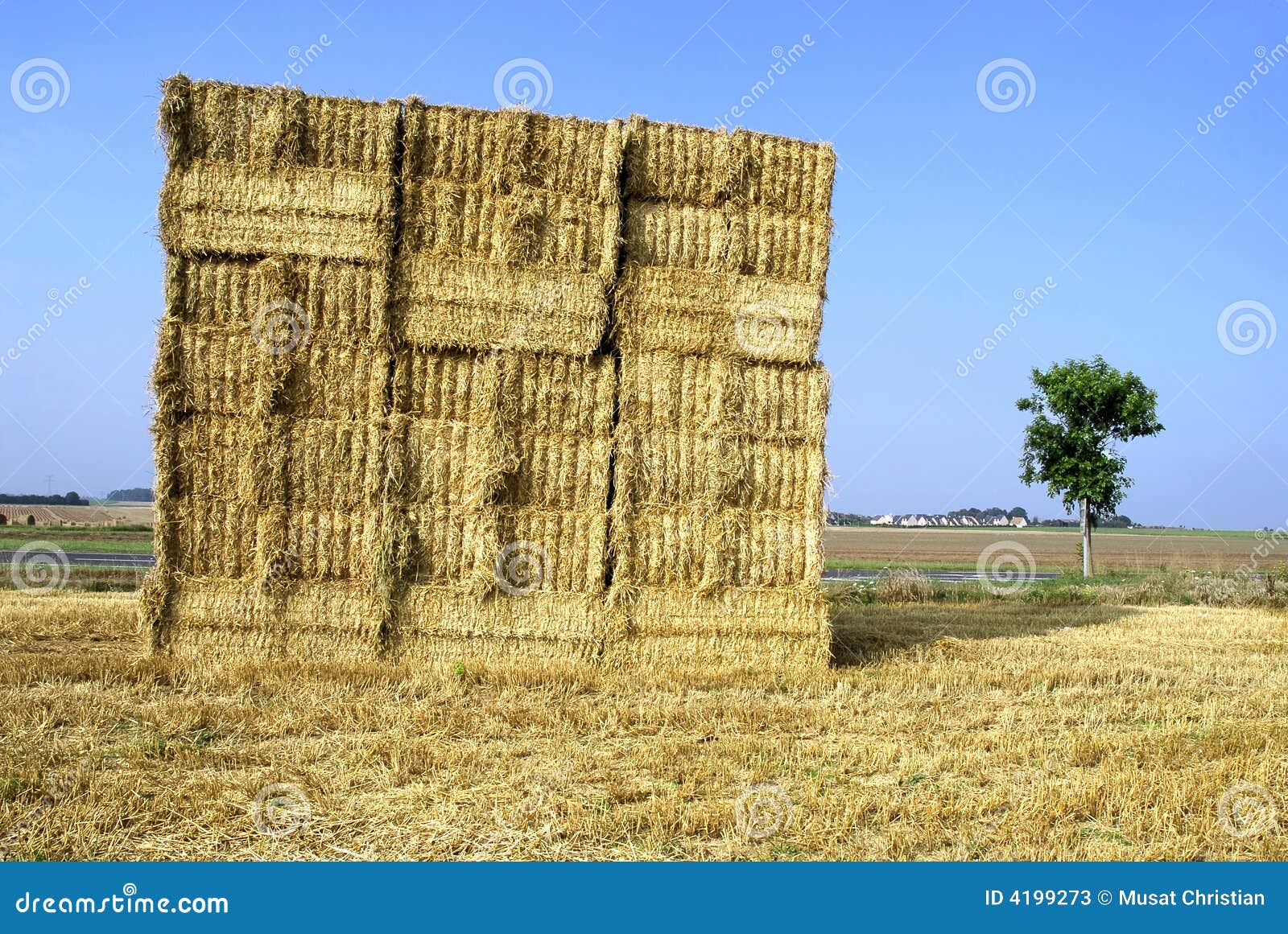 Cube of straw stock image. Image of harvest, wheat, farming - 4199273
