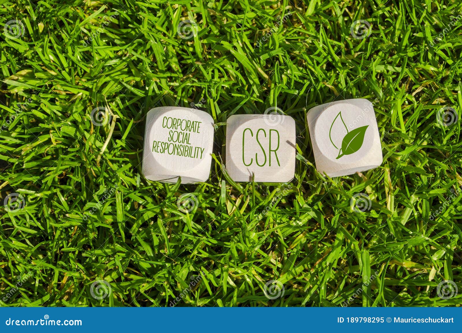 Cubes or Dice with Acronym CSR Corporate Social Responsibility in Green ... Cubes or Dice with Acronym CSR Corporate Social Responsibility in Green ...