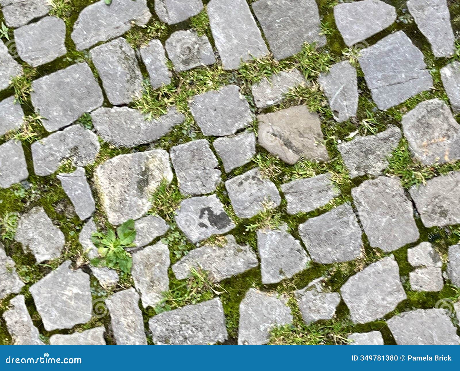 Gray Cobblestone Walkway, Diagonal View, Background Stock Photo - Image ...