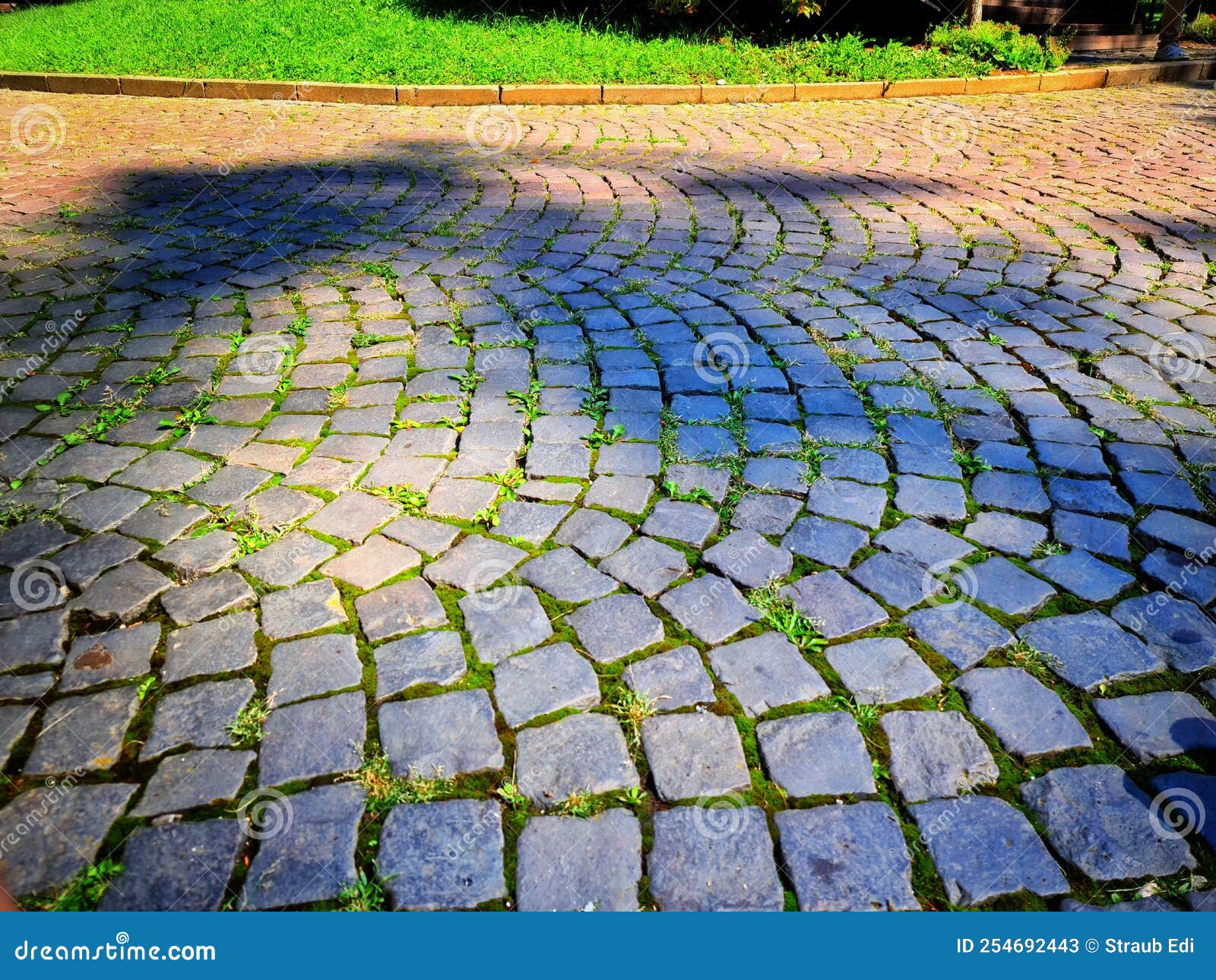 Cubic stones pavement stock image. Image of outdoor - 254692443