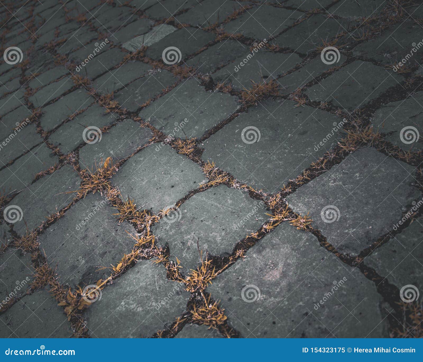 Cubical Stone Pavement Stock Photography | CartoonDealer.com #184725908