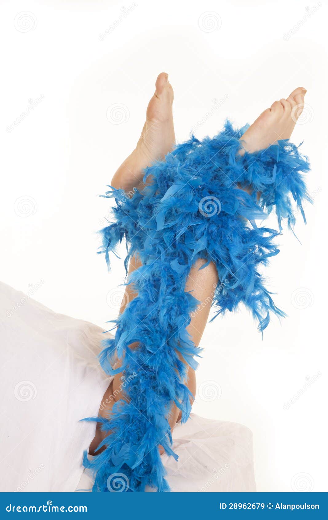 Cubiertas De La Boa De Los Pies De La Mujer Imagen de archivo - Imagen ...