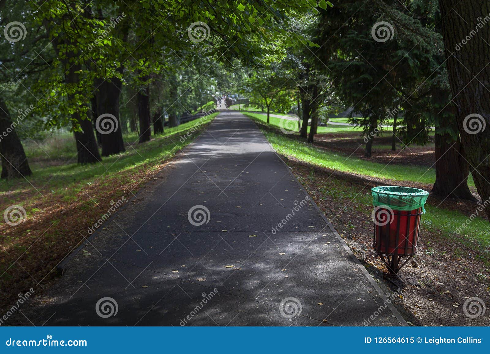 Cubo De La Basura En Parque Imagen de archivo - Imagen de ...