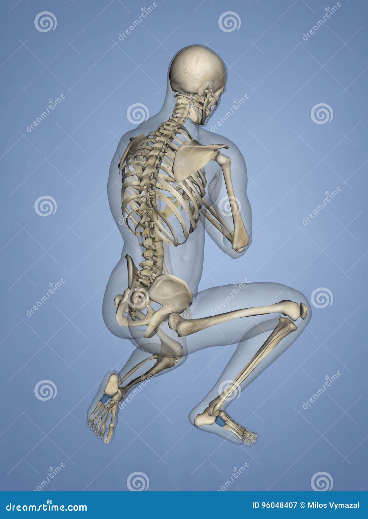 Cuboid Bone, 3D Model stock illustration. Illustration of medicine ...