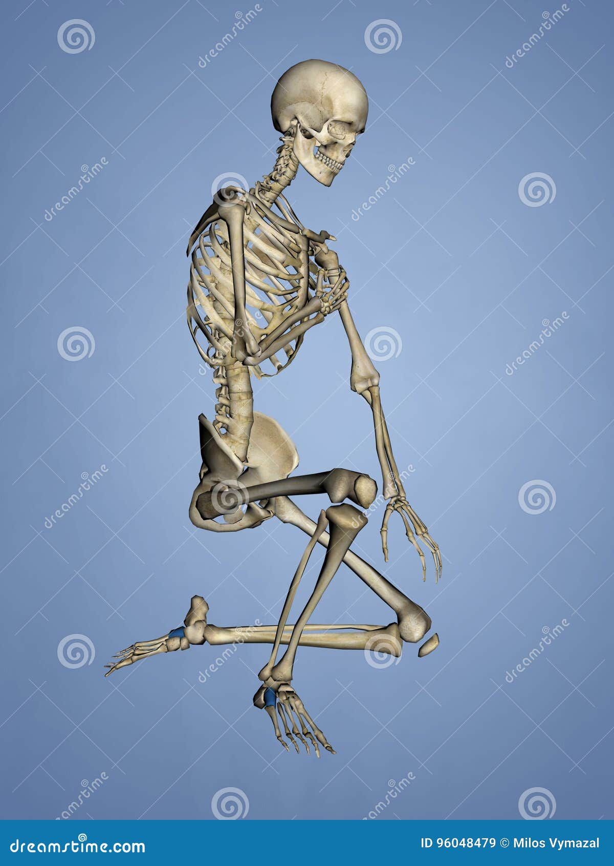 Cuboid Bone, 3D Model stock illustration. Illustration of medical ...