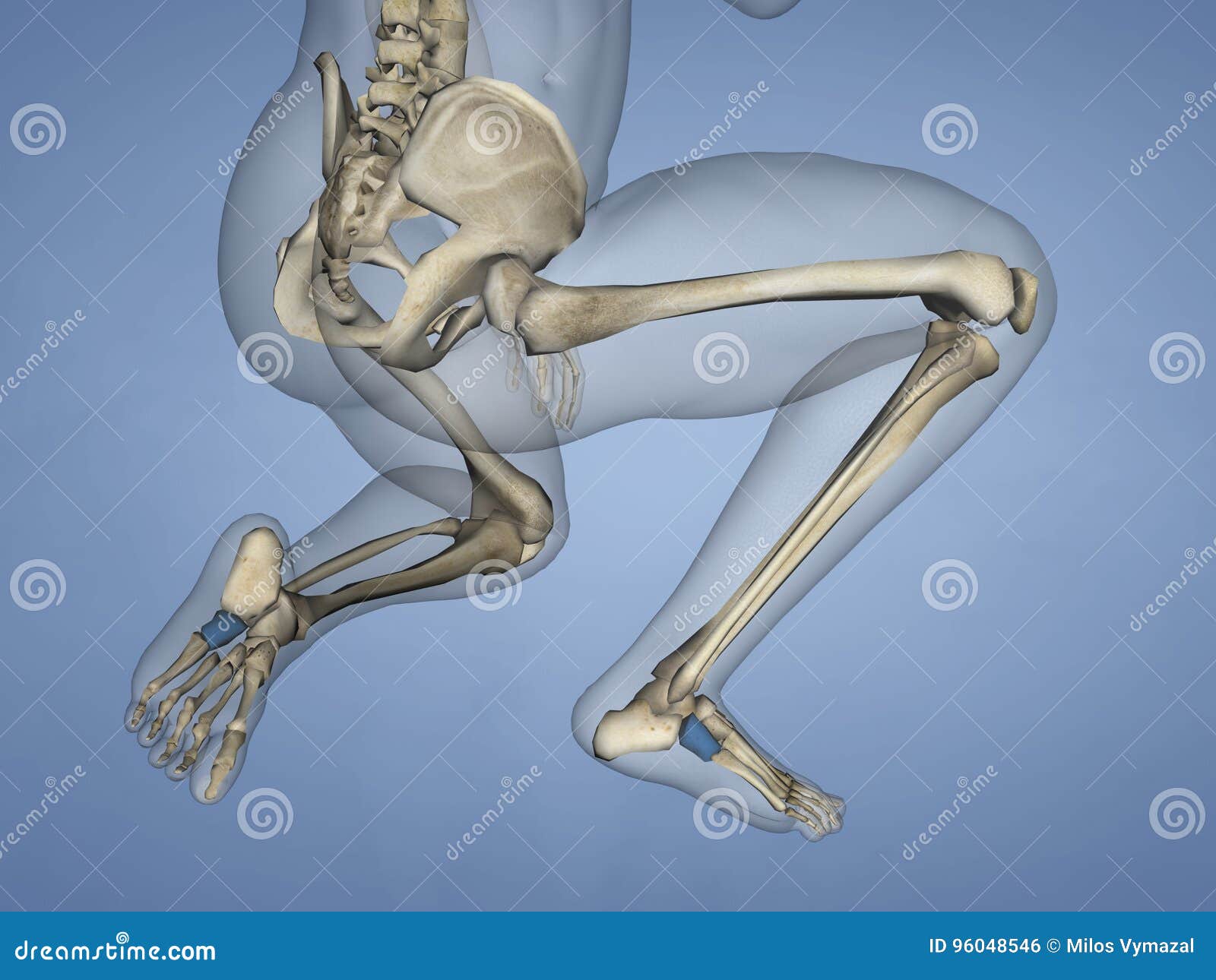Cuboid Bone, 3D Model stock illustration. Illustration of body - 96048546