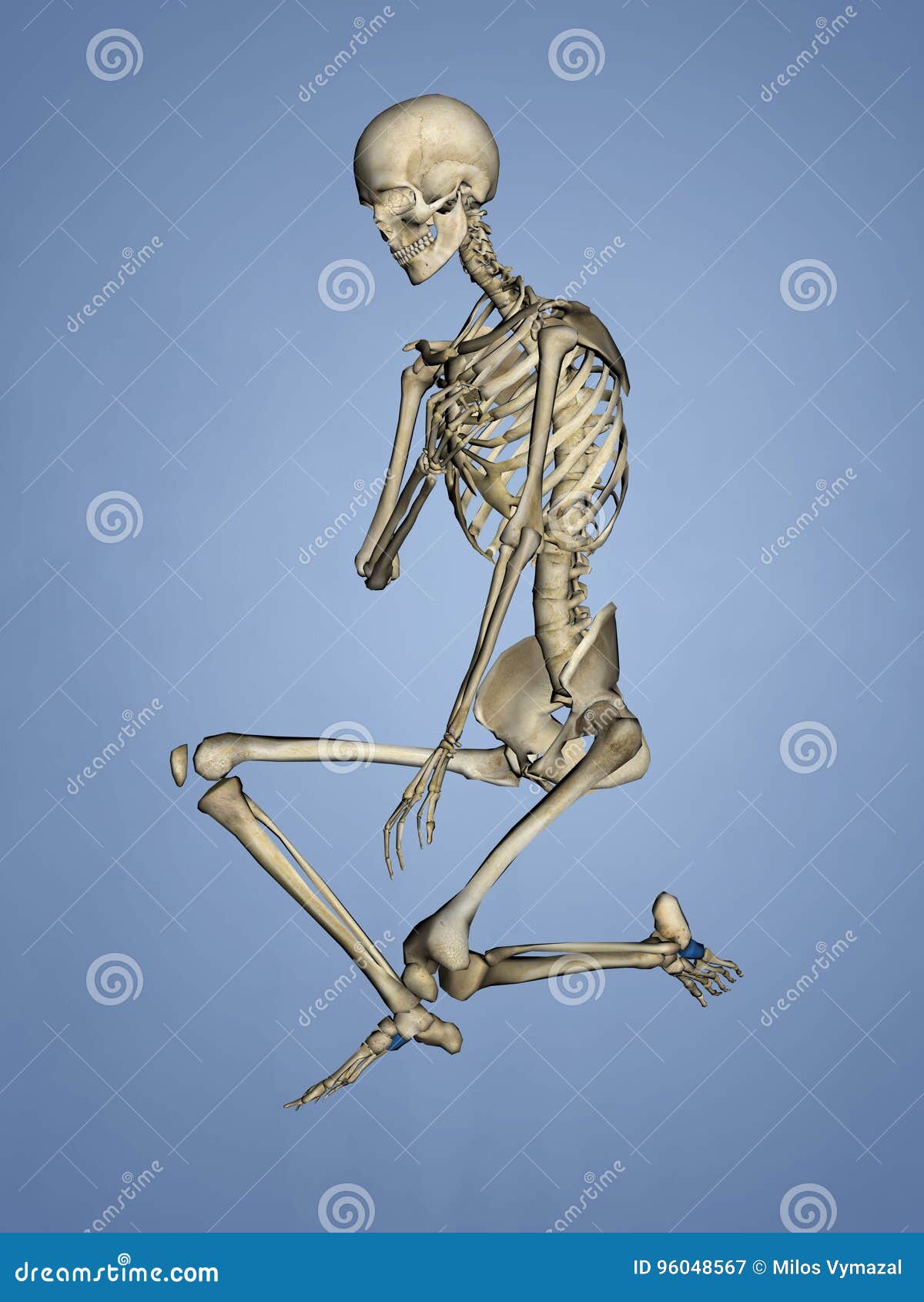 Cuboid Bone, 3D Model stock illustration. Illustration of figure - 96048567