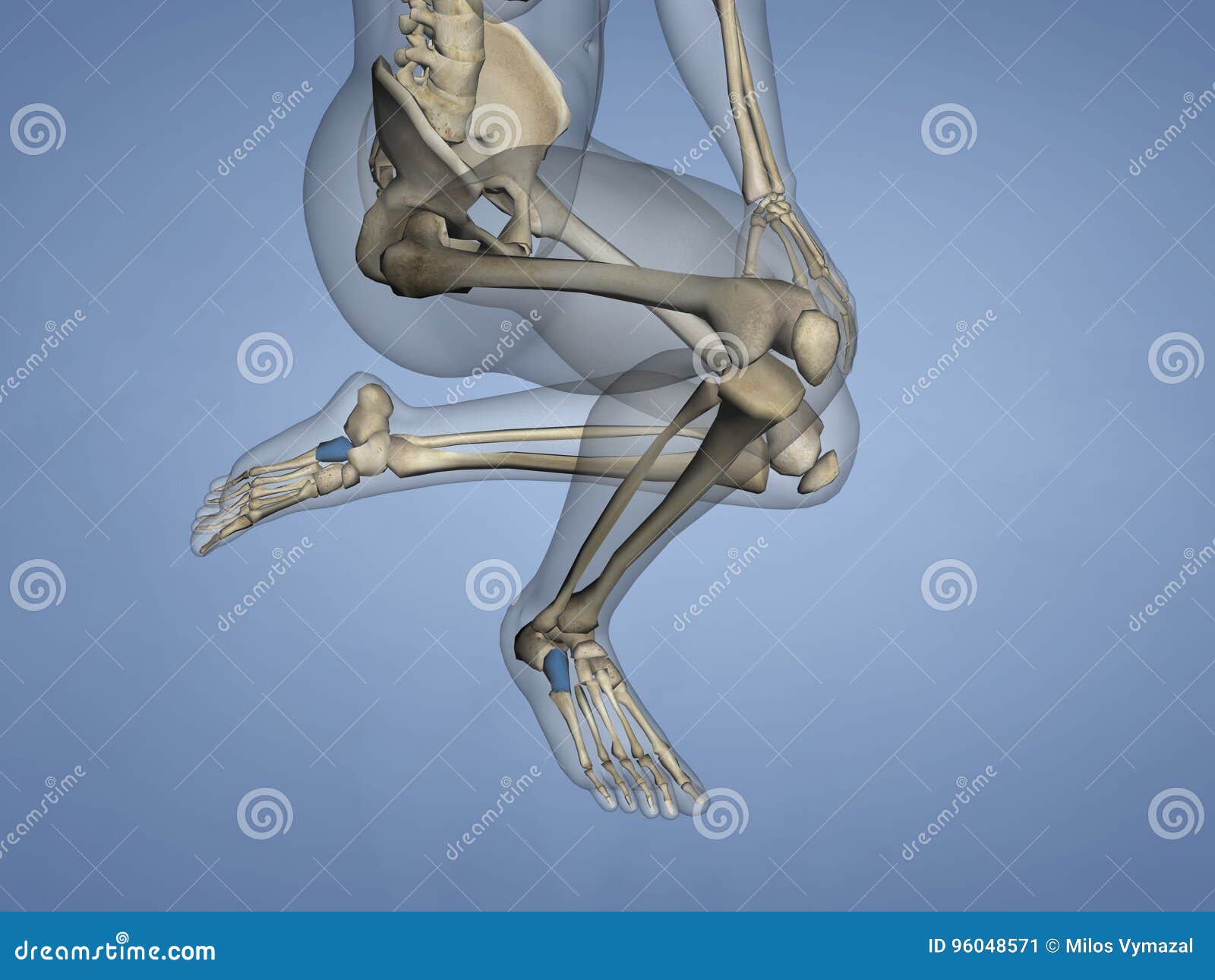 Cuboid Bone, 3D Model stock illustration. Illustration of anatomy ...