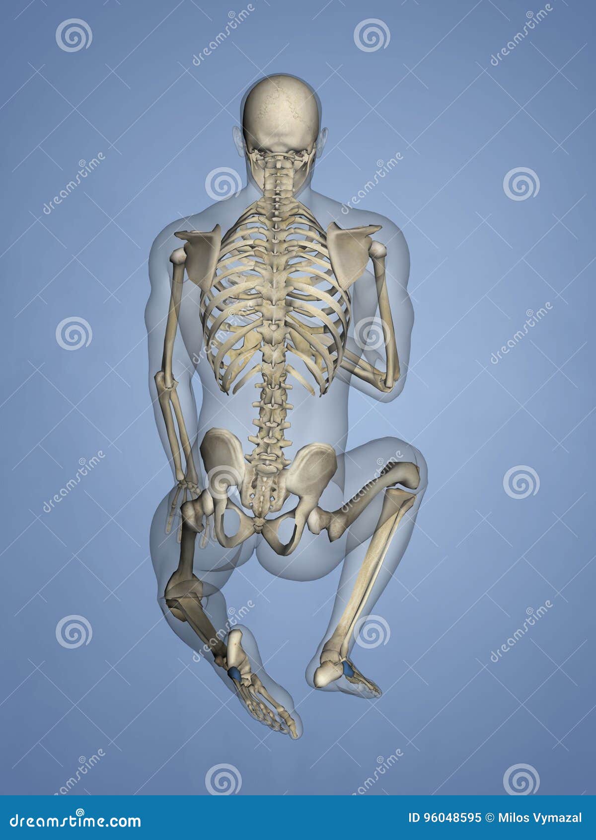 Cuboid Bone, 3D Model stock illustration. Illustration of science ...