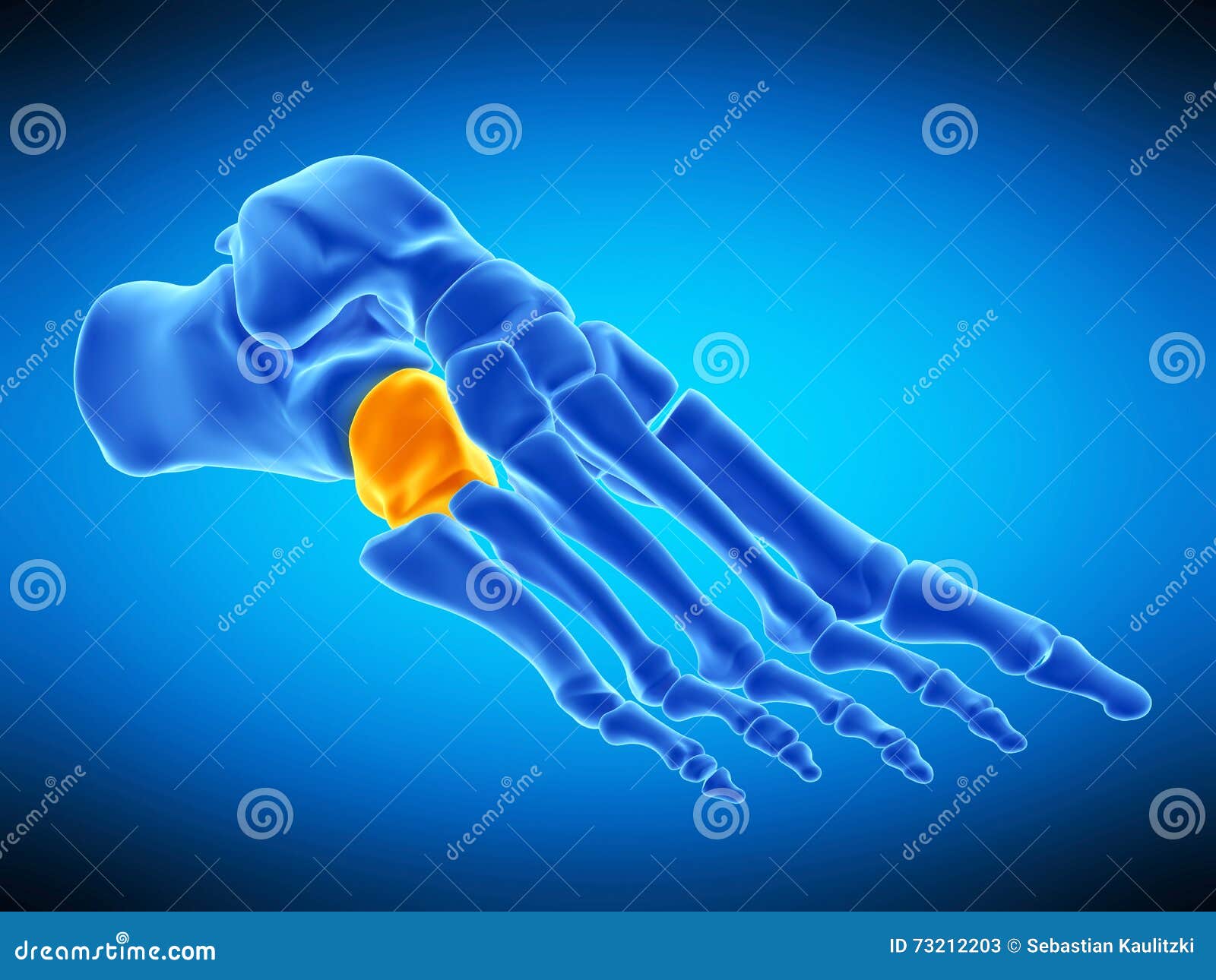 The cuboid stock illustration. Illustration of cuboid - 73212203