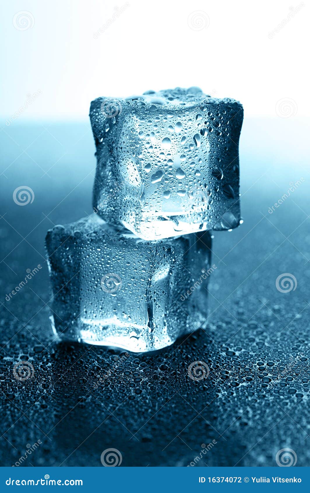 Cubos de gelo molhados foto de stock. Imagem de fresco - 16374072