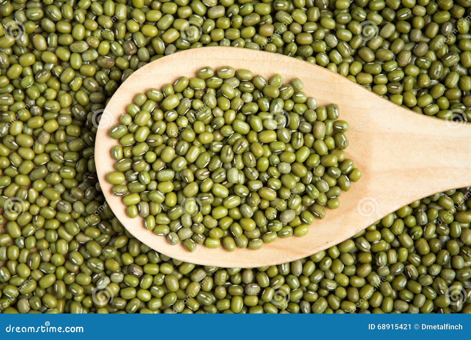 Cucharada De La Semilla De Las Habas Verdes Imagen de archivo - Imagen ...