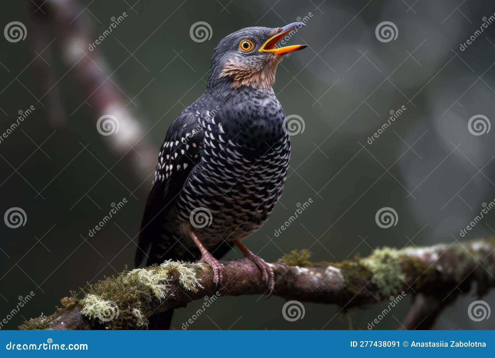 Cuckoo Bird Calling Out from a Tree. Generative AI Stock Image - Image ...
