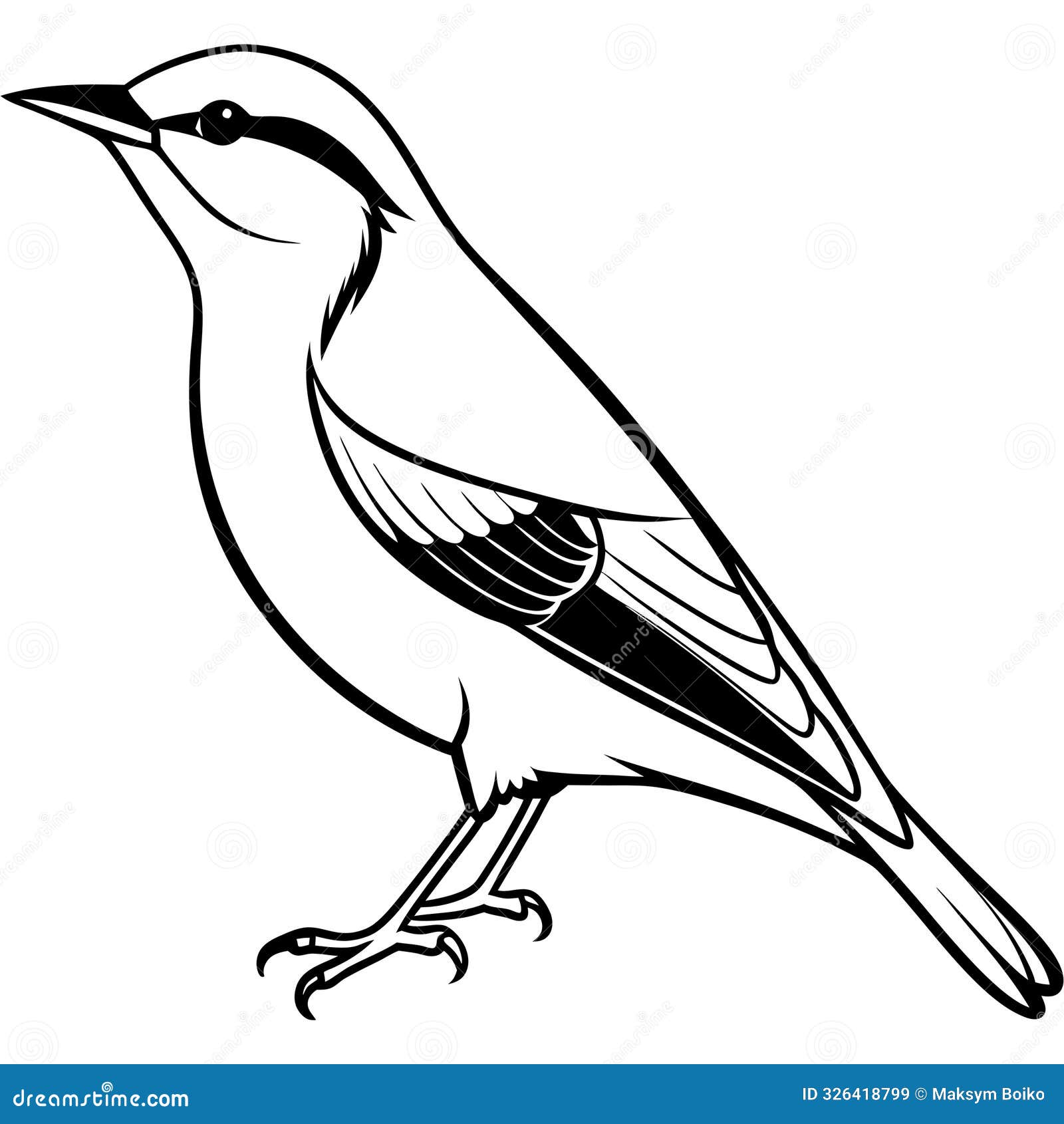 Cuckoo Bird Reading Icon Vector Stock Vector - Illustration of template ...