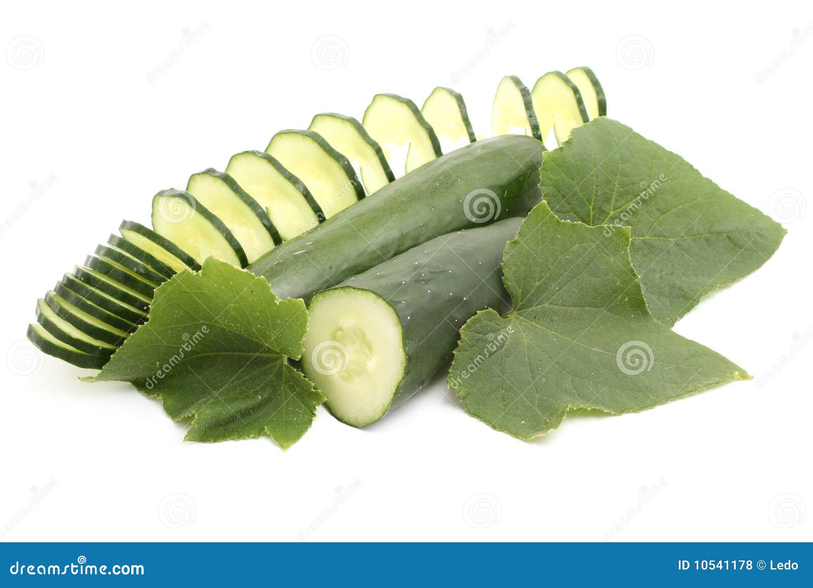 Cucumber stock photo. Image of flowers, vegetable, decorative - 10541178