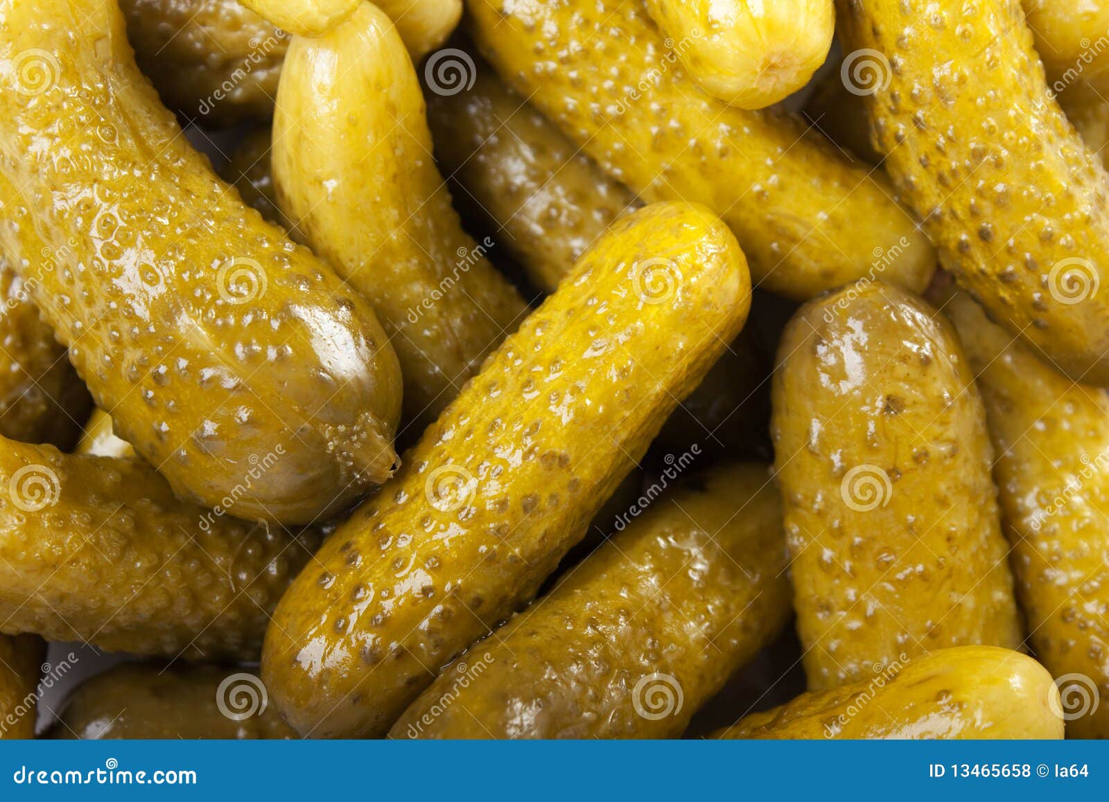 Cucumber stock photo. Image of green, healthy, macro - 13465658